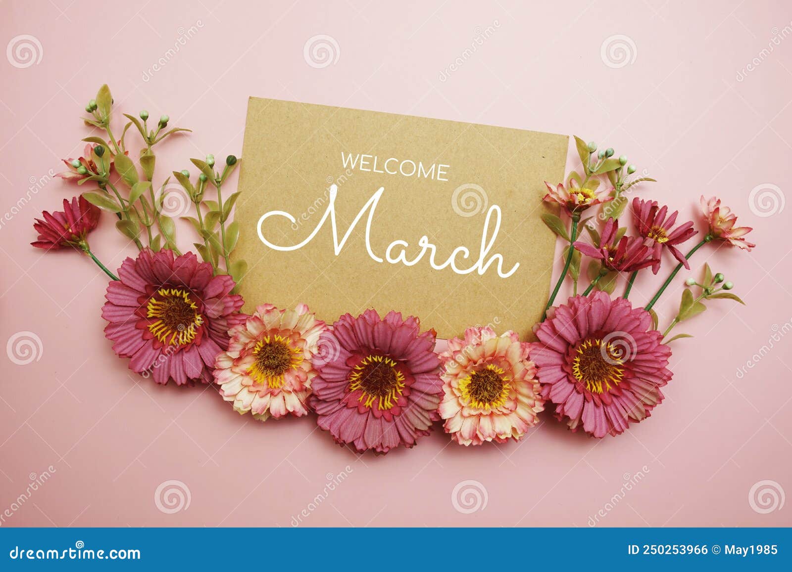 Welcome March Typography Text with Flowers on Pink Background Stock ...
