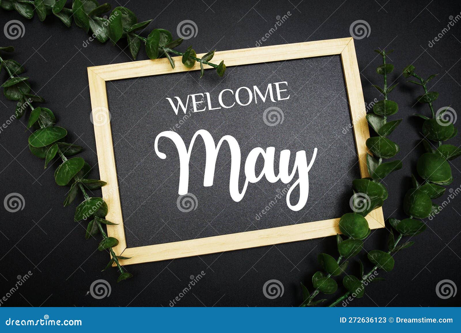 Welcome May Text Message on Wooden Blackboard with Green Leaf ...