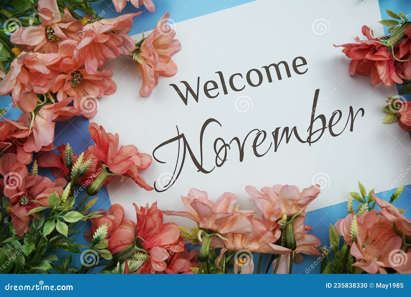 Welcome November Text with Pink Flower Frame on Blue Background Stock ...