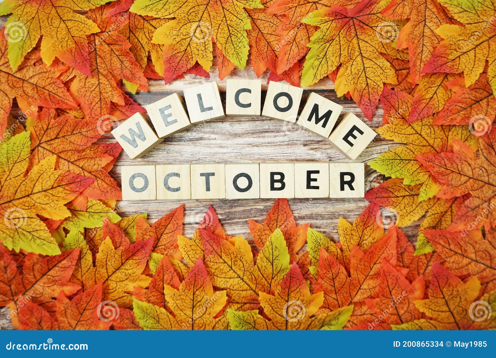 Welcome October Alphabet Letter with Maple Leaves Frame on Wooden ...
