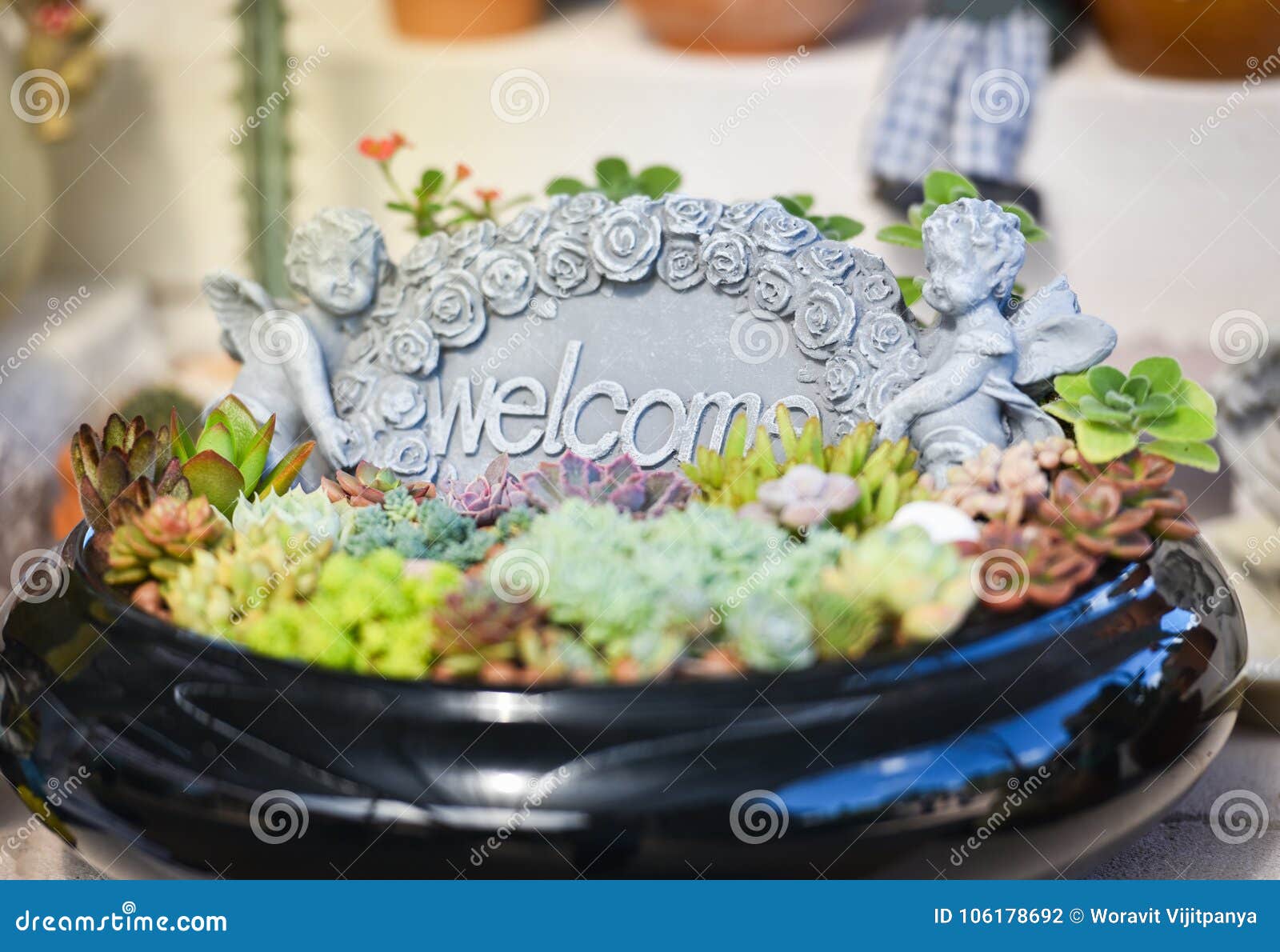 Welcome Plant garden stock photo. Image of botany, growing - 106178692