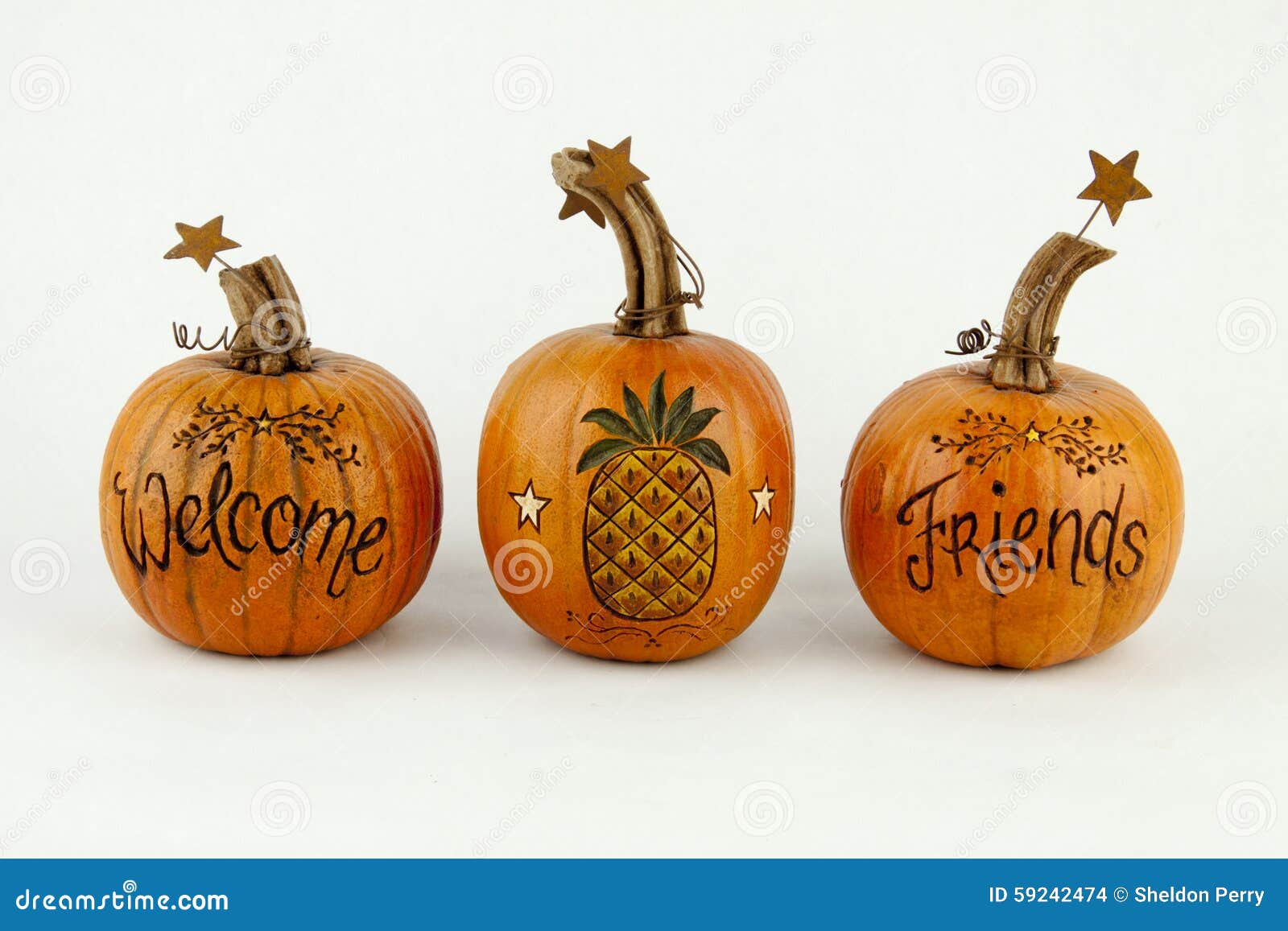 Welcome Pumpkins stock photo. Image of triple, autumn - 59242474