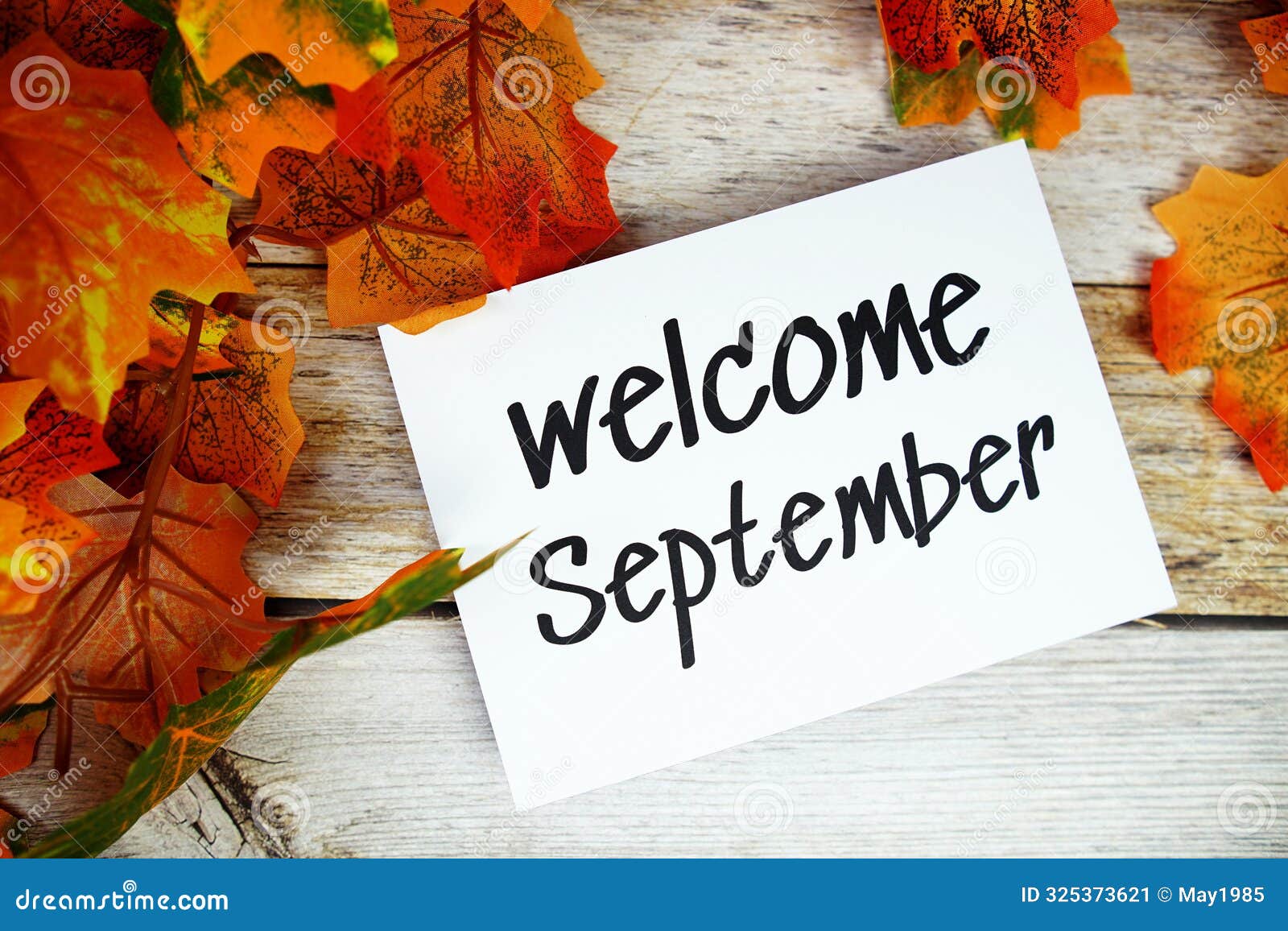 Welcome September Text with Maple Leaf Decoration Top View on Wooden ...