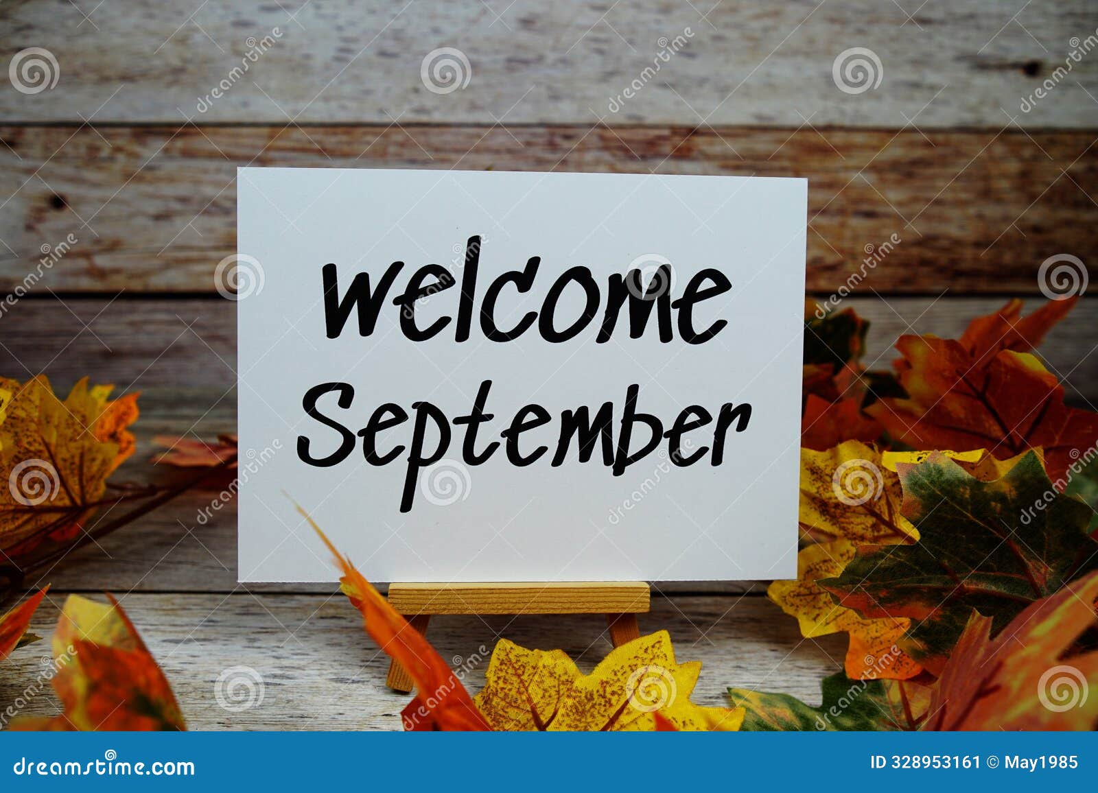 Welcome September Text with Maple Leaf Decoration on Wooden Background ...
