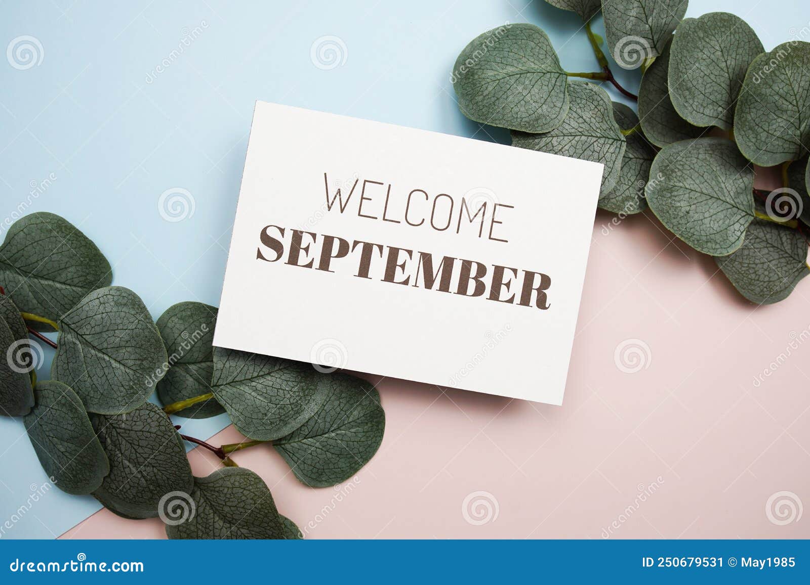 Welcome September Text Message with Green Leave on Blue and Pink ...