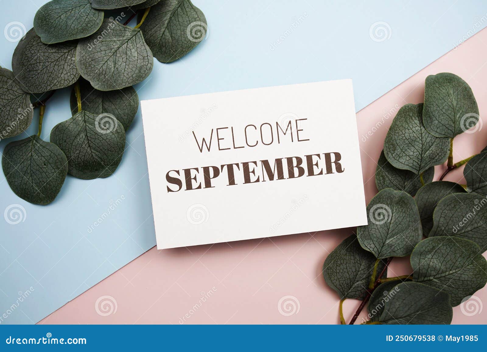 Welcome September Text Message with Green Leave on Blue and Pink ...