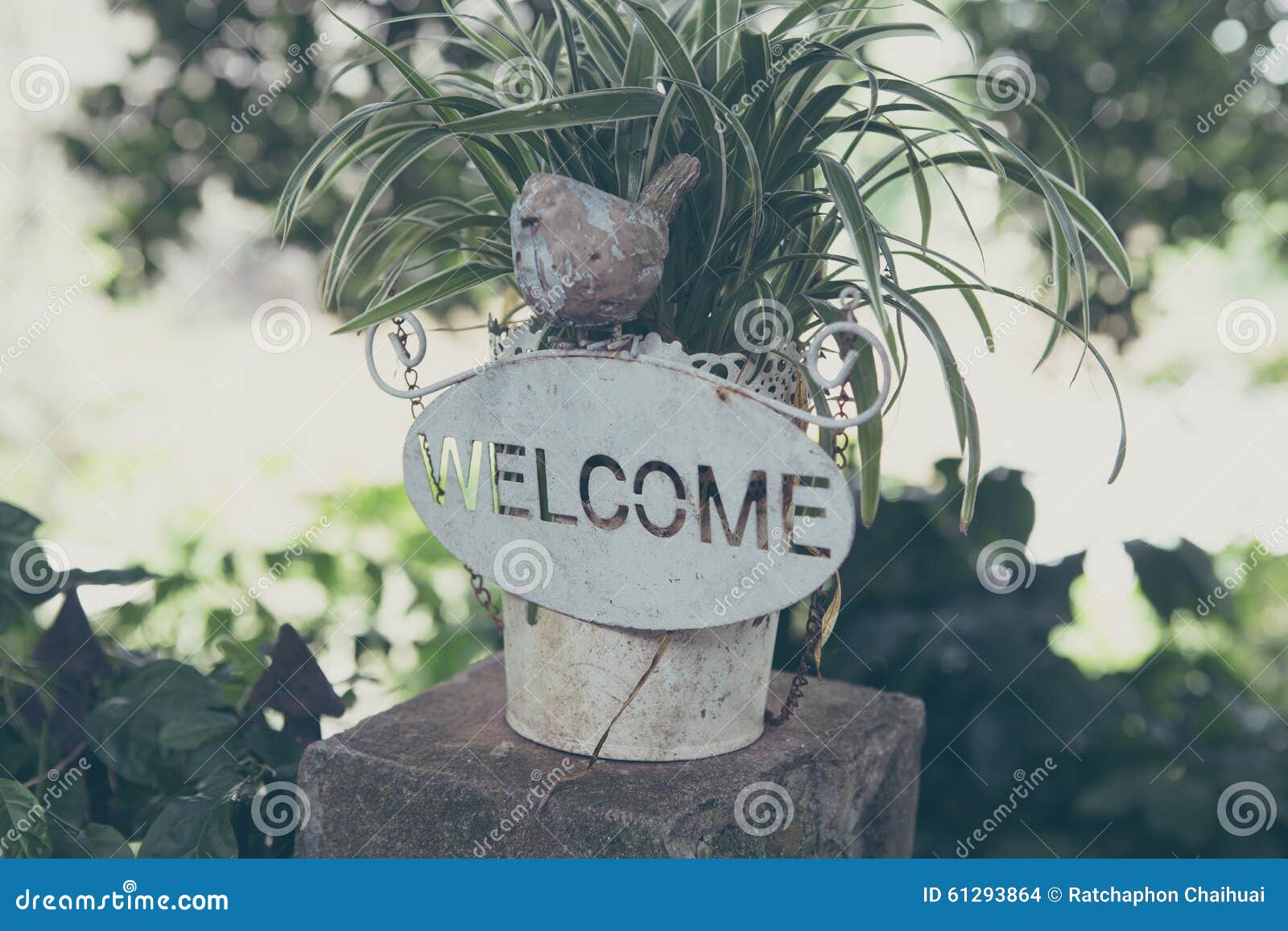 Welcome Sign, at the Flower Pot Stock Photo - Image of calligraphy ...