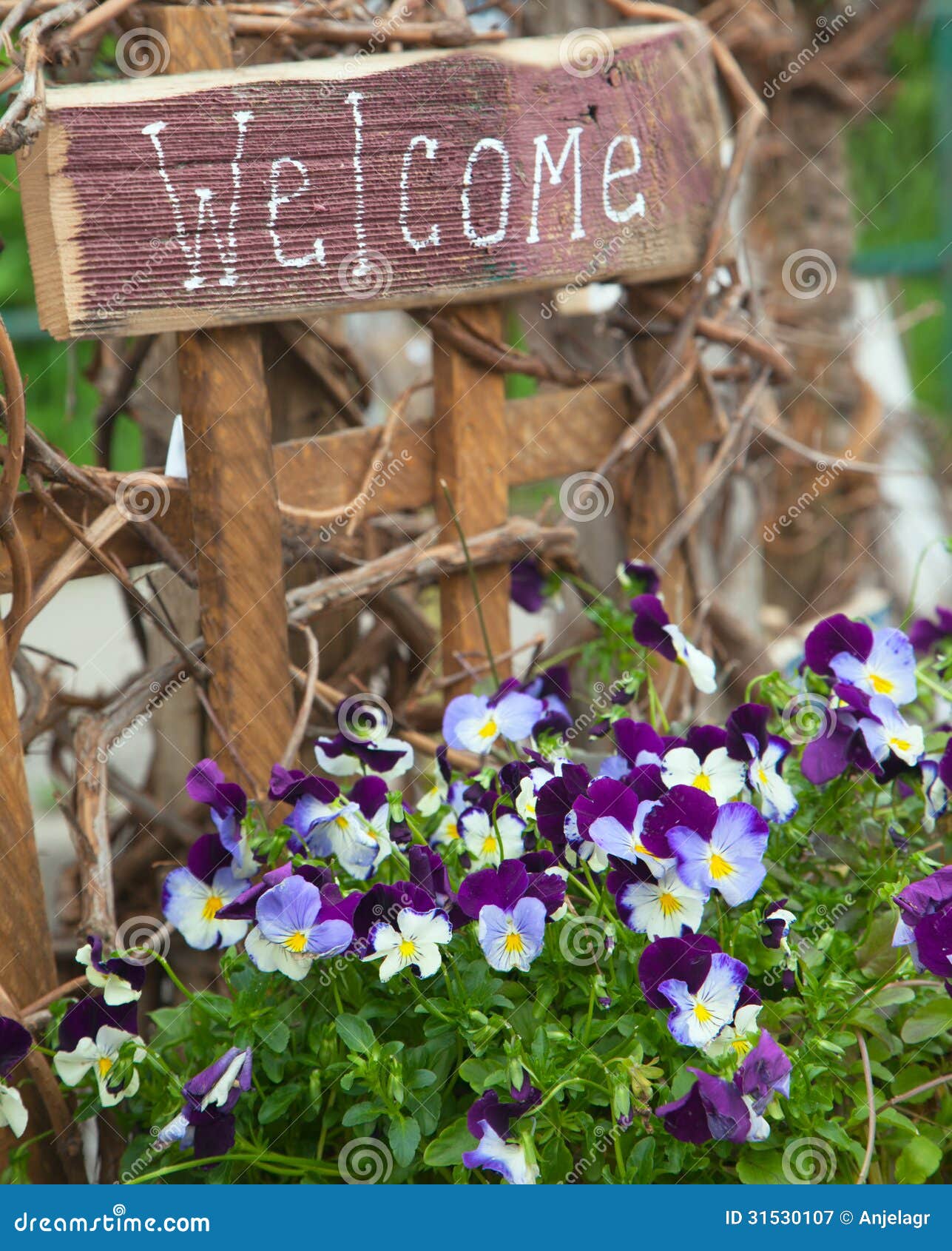 Welcome sign and flowers stock image. Image of text, word - 31530107