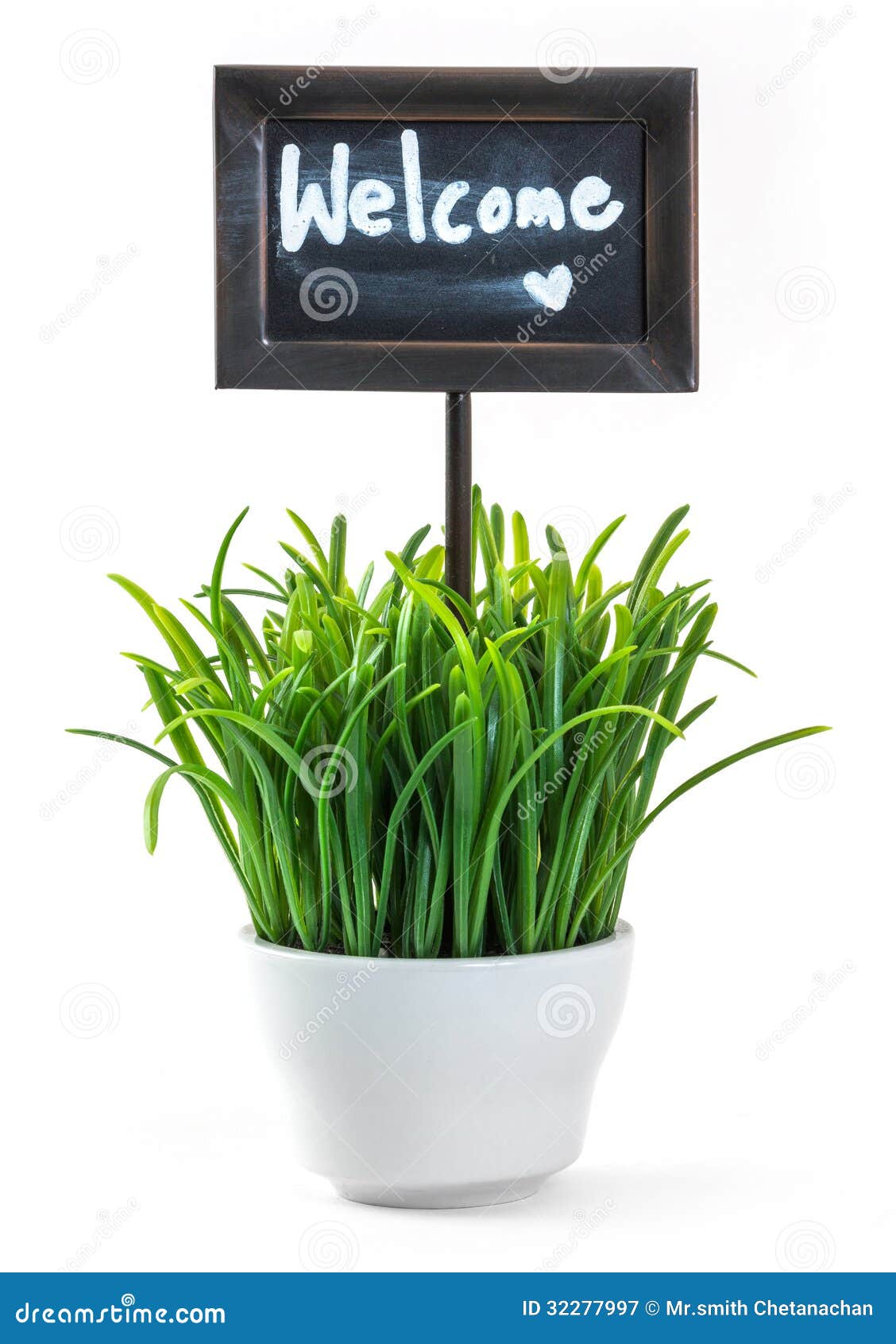 Welcome Sign and Grass in Ceramic Pot Stock Image - Image of grass ...