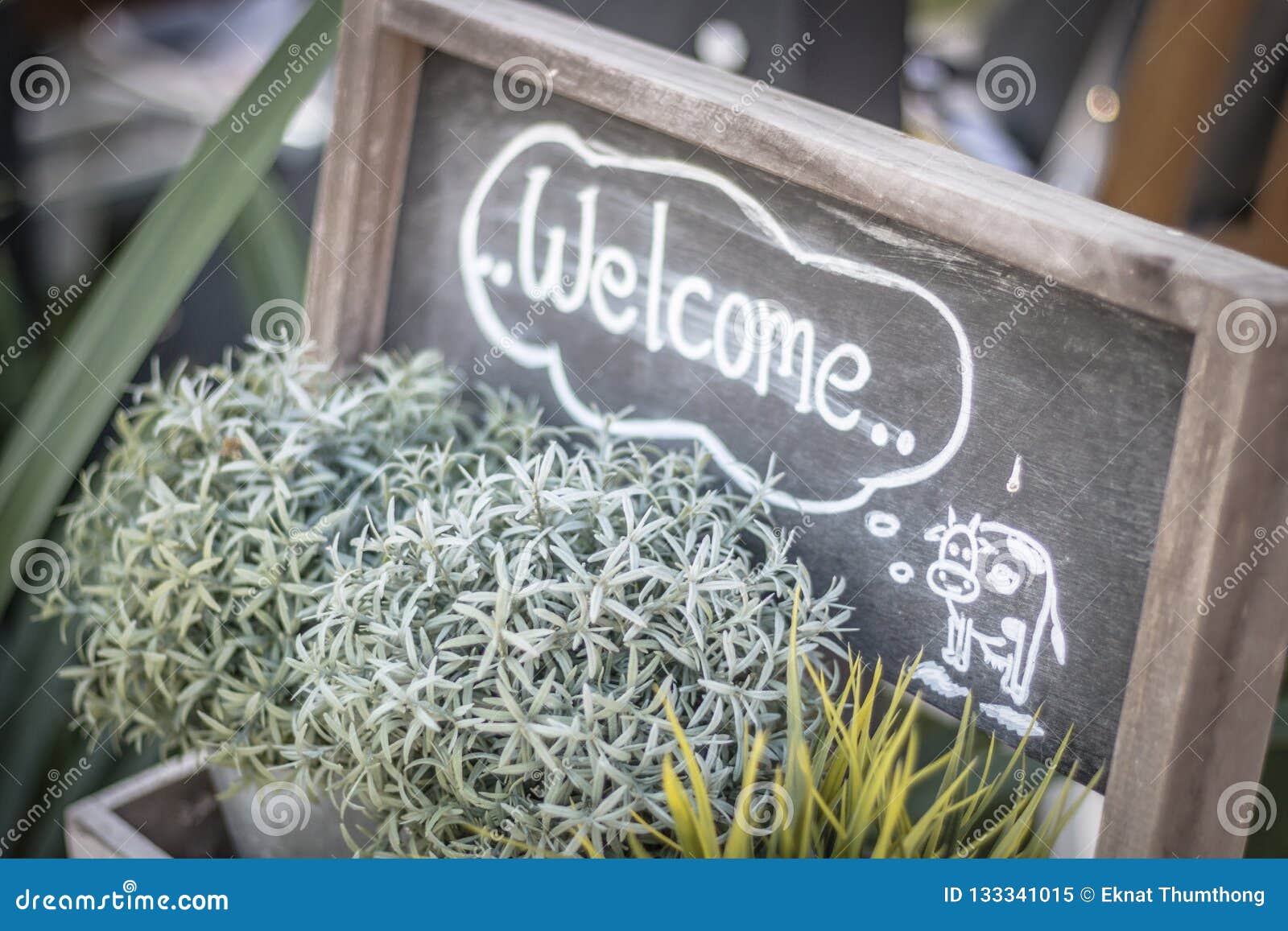Welcome Sign and Green Tree in Pot Stock Image - Image of hand, concept ...