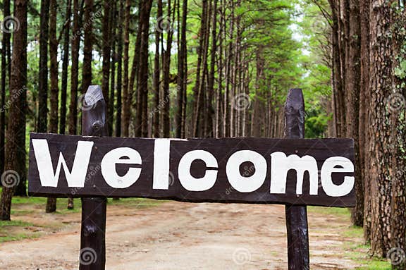 Welcome Sign in Pine Tree Forest. Stock Image - Image of forest, tree ...