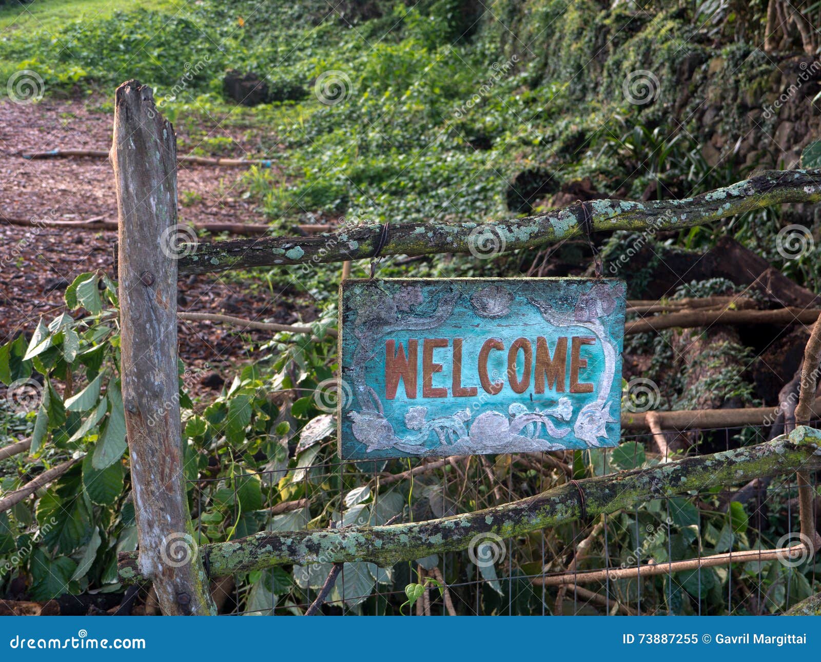 Welcome sign stock image. Image of gate, jungle, sign - 73887255