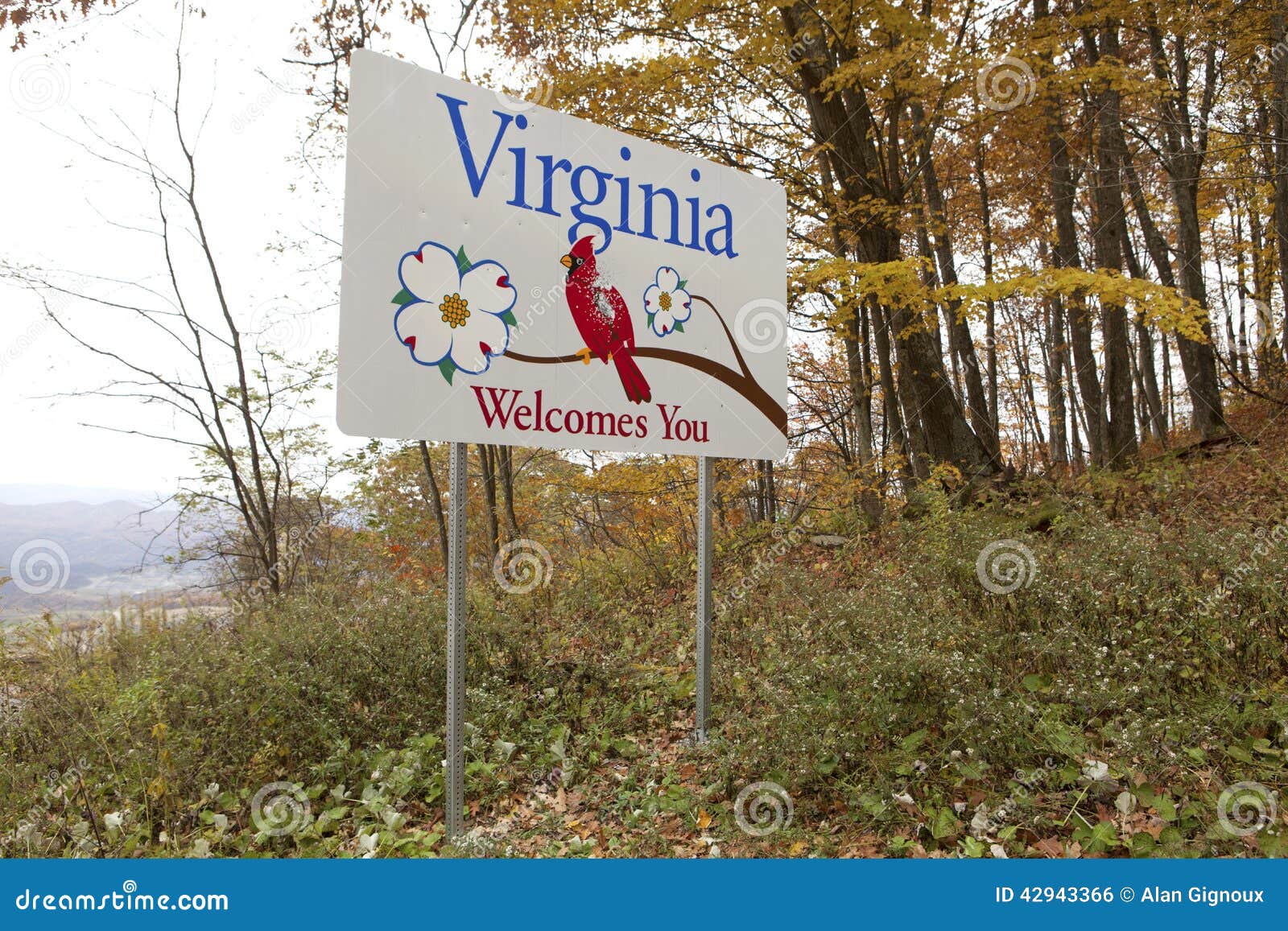 Welcome sign, Virginia stock photo. Image of shops, bullet - 42943366