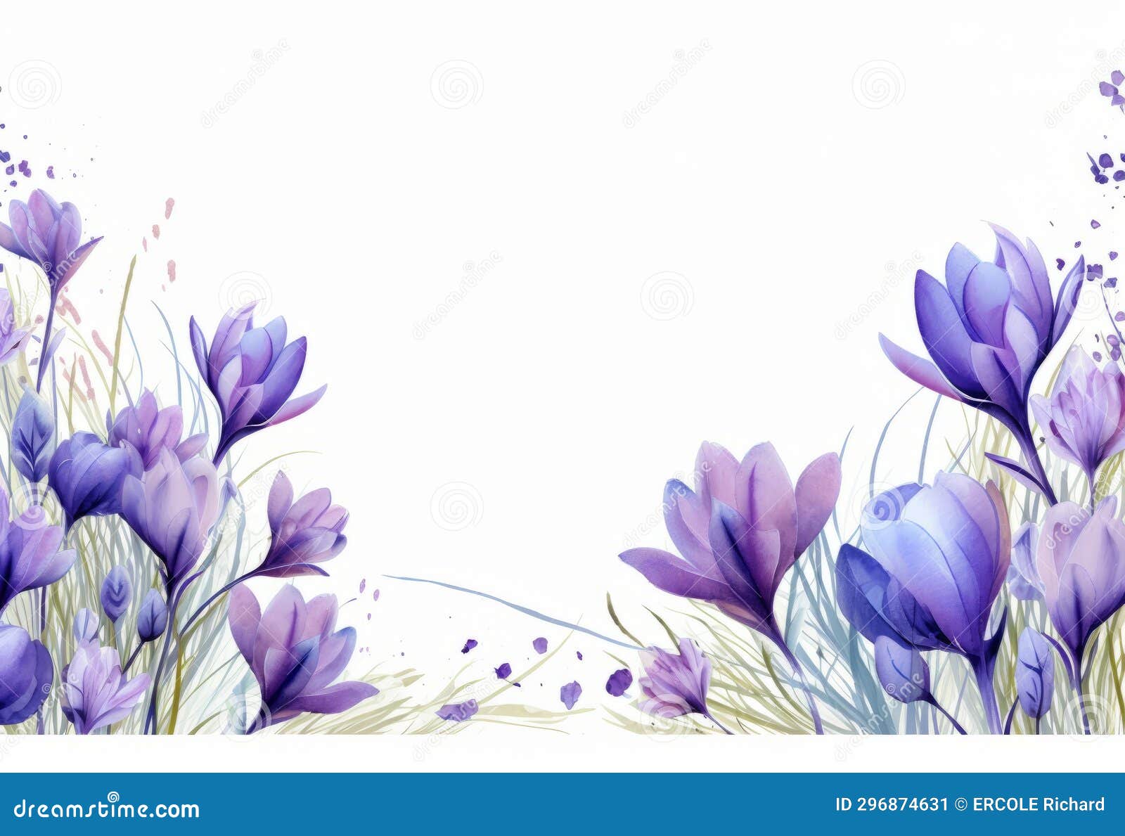 Welcome Spring with Colorful Crocus Borders on the Grass Stock ...