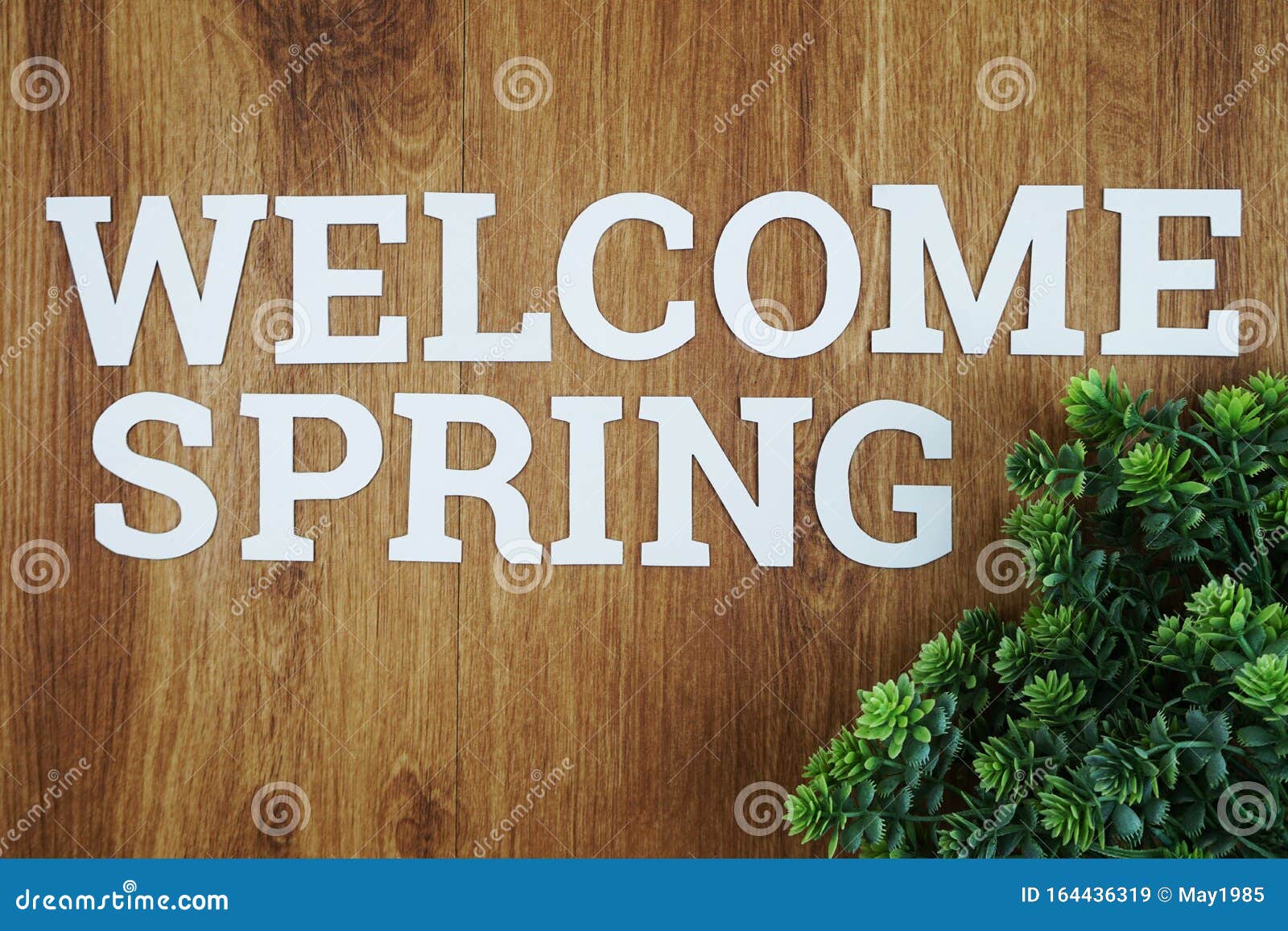 Welcome Spring with Green Leave on Wooden Background Stock Image ...