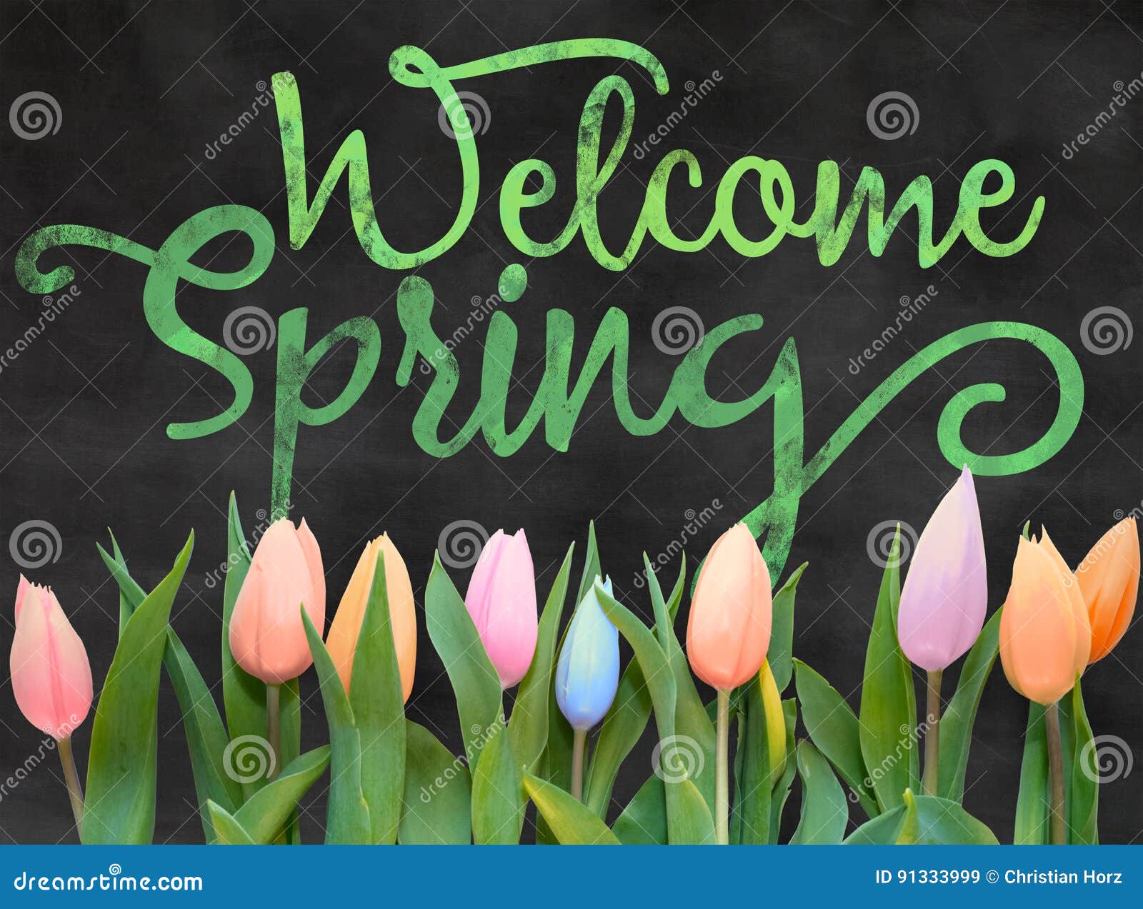 Welcome spring with tulips stock illustration. Illustration of ...