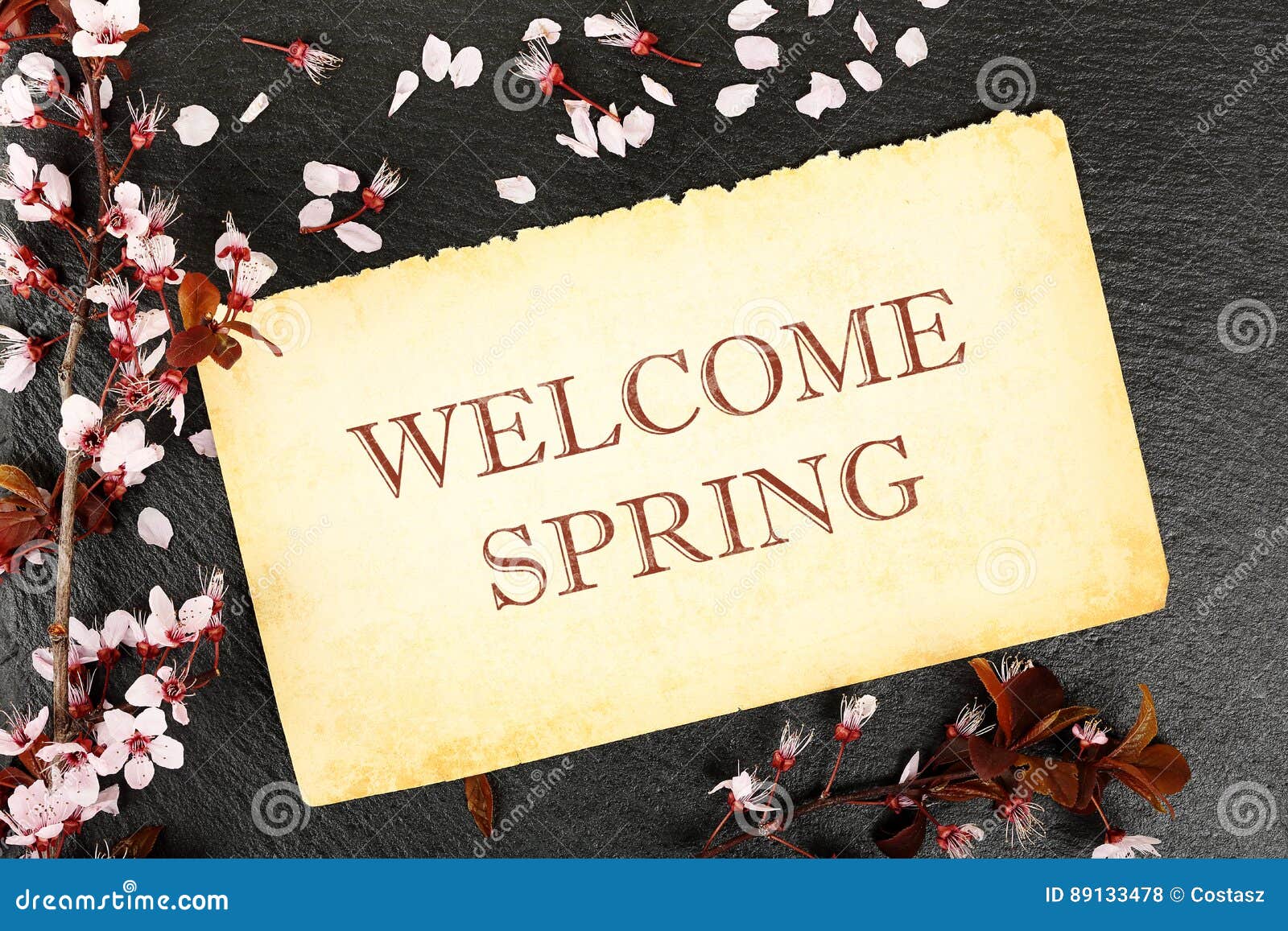 Welcome spring stock photo. Image of nature, message - 89133478