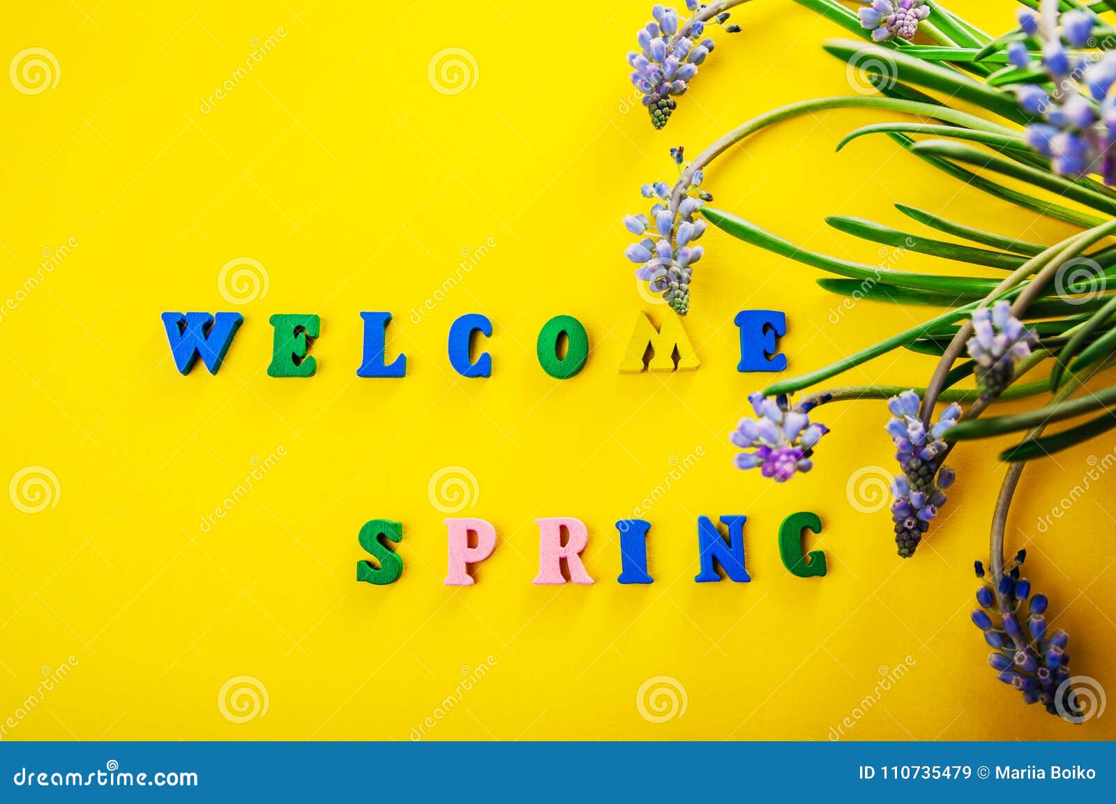 Welcome Spring. Yellow Background with Spring Flowers Stock Image ...