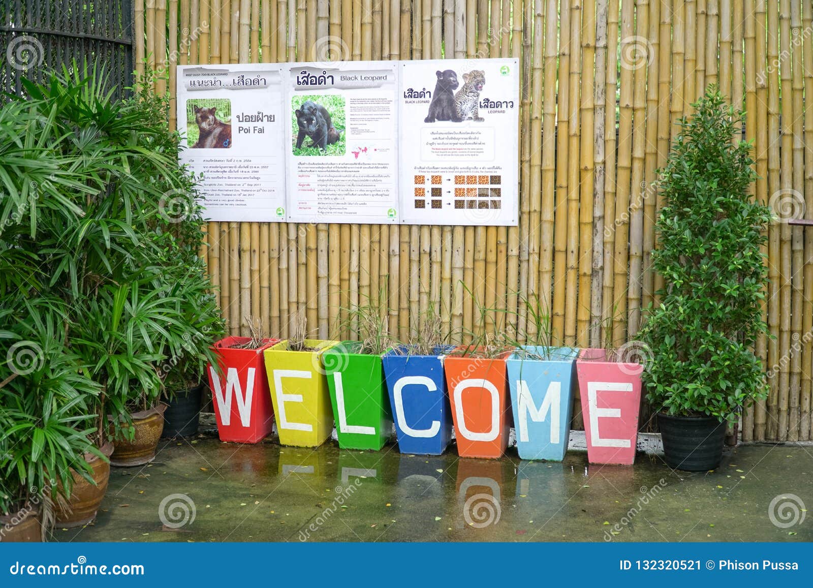 Welcome Text on Pot Bamboo Wall Background Stock Image - Image of brown ...