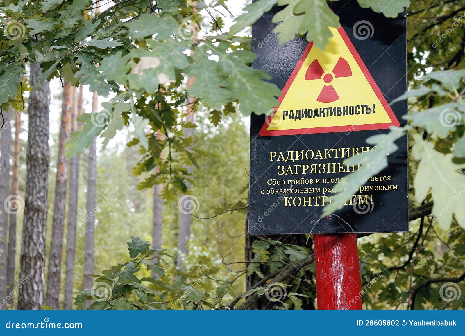 Chernobyl Welcome Sign In Chernobyl Exclusion Zone, Ukraine Editorial ...