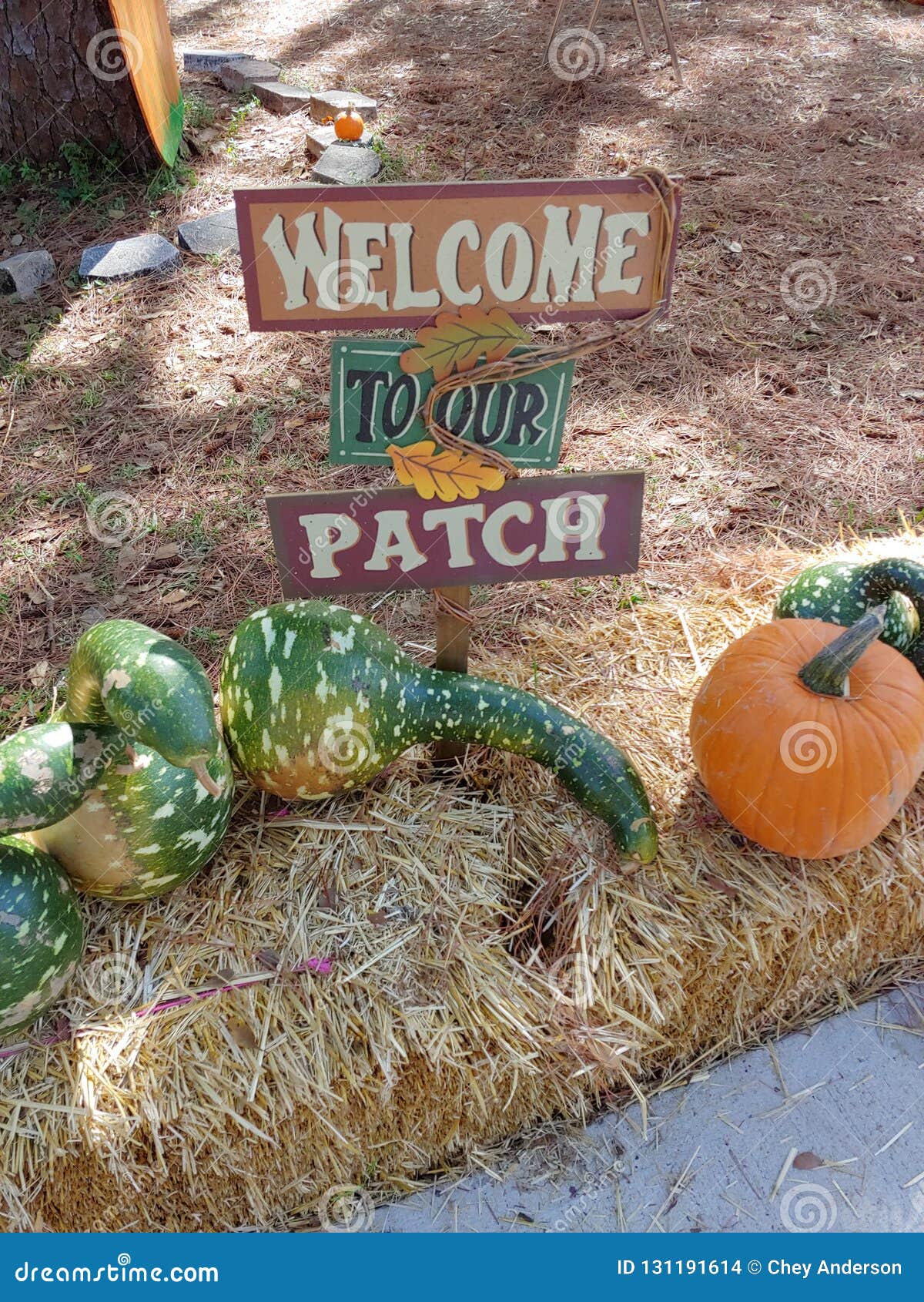 Welcome to our patch stock photo. Image of patch, welcome - 131191614