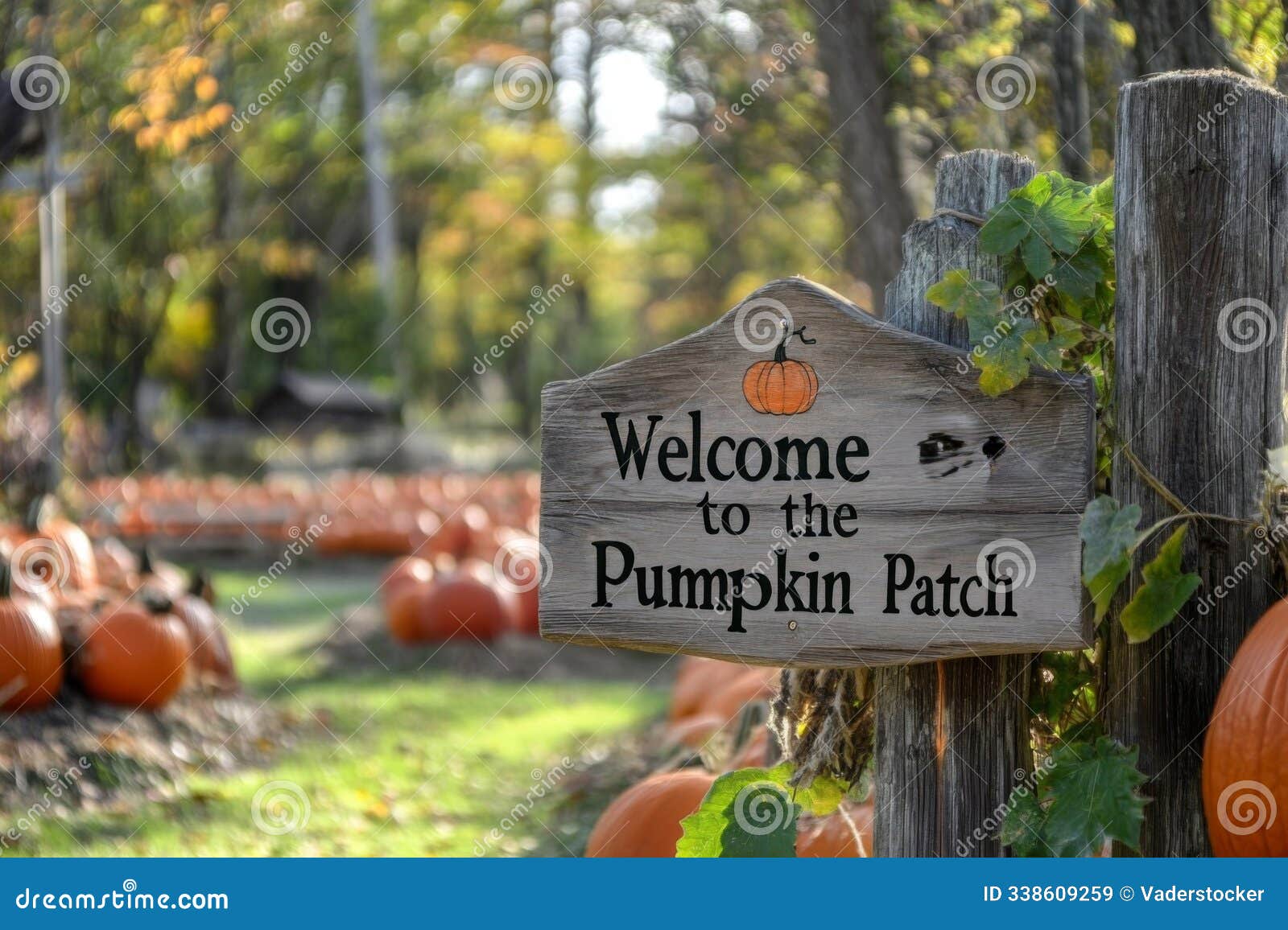 Welcome To the Pumpkin Patch Sign with Pumpkins in Background Stock ...