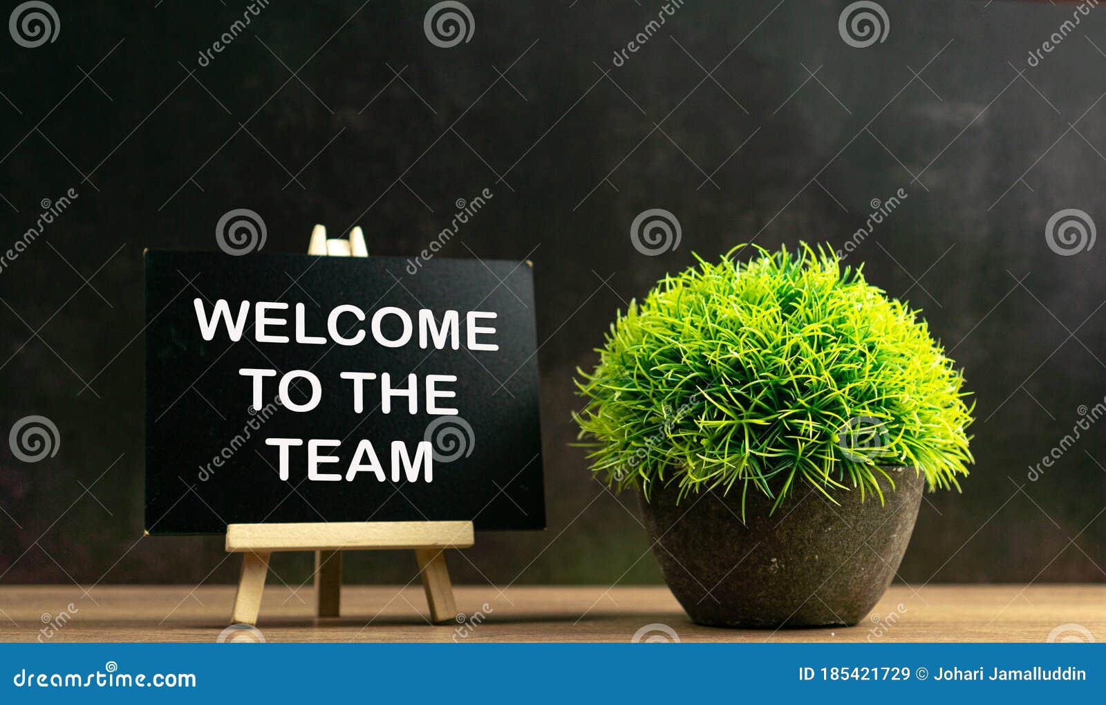 WELCOME TO the TEAM Wrote on Chalkboard with Green Plant in Pot Stock ... WELCOME TO the TEAM Wrote on Chalkboard with Green Plant in Pot Stock ...