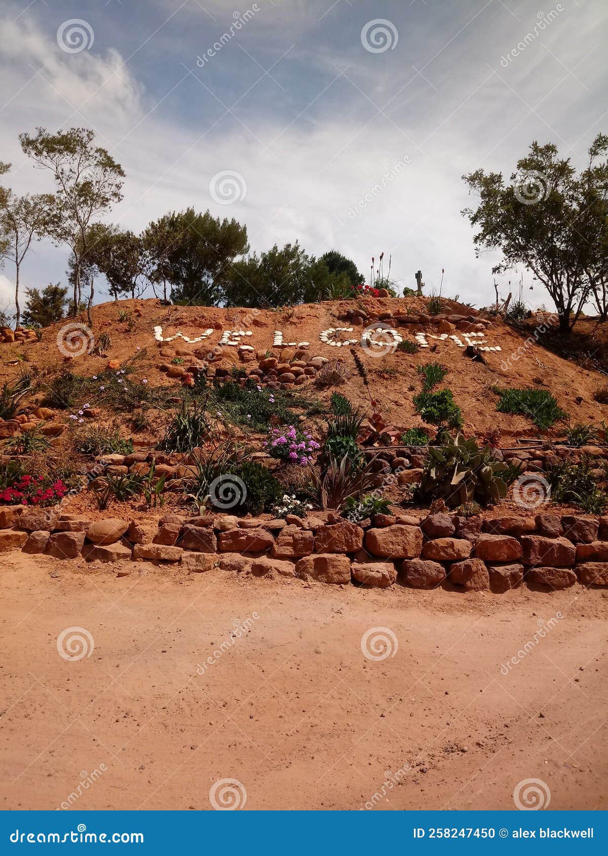 Welcome word grass patch stock photo. Image of grass - 258247450