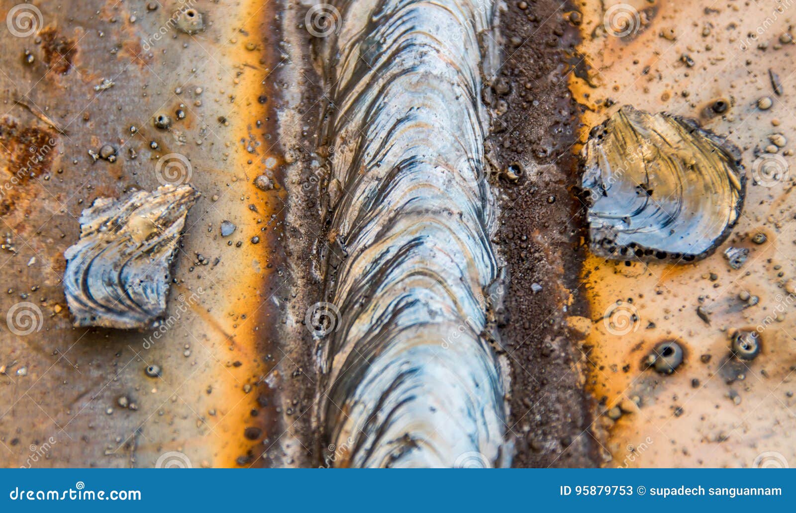 Welding stock image. Image of smoke, tree, light, welding - 95879753