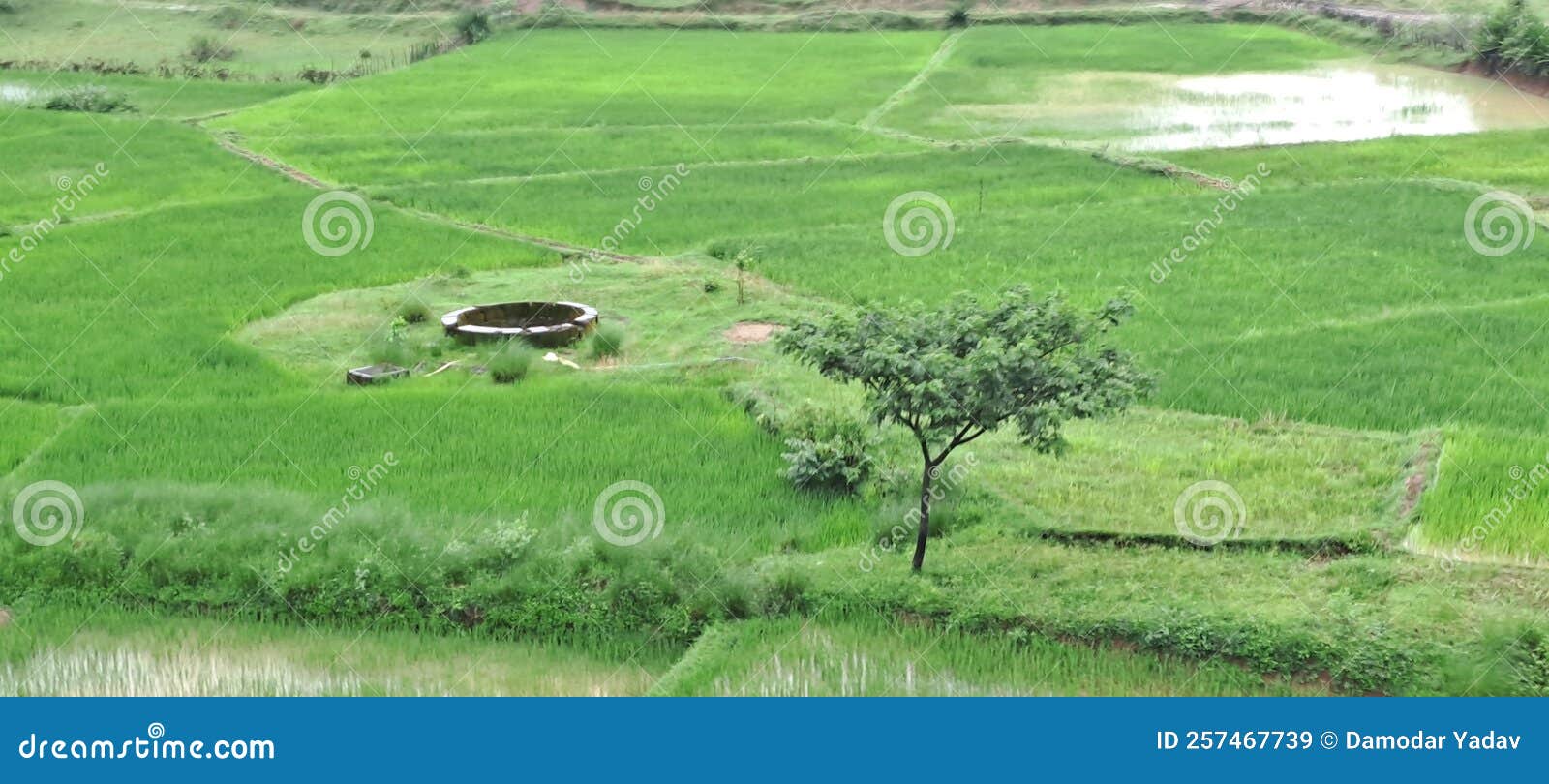 Well and agriculture stock image. Image of landscape - 257467739
