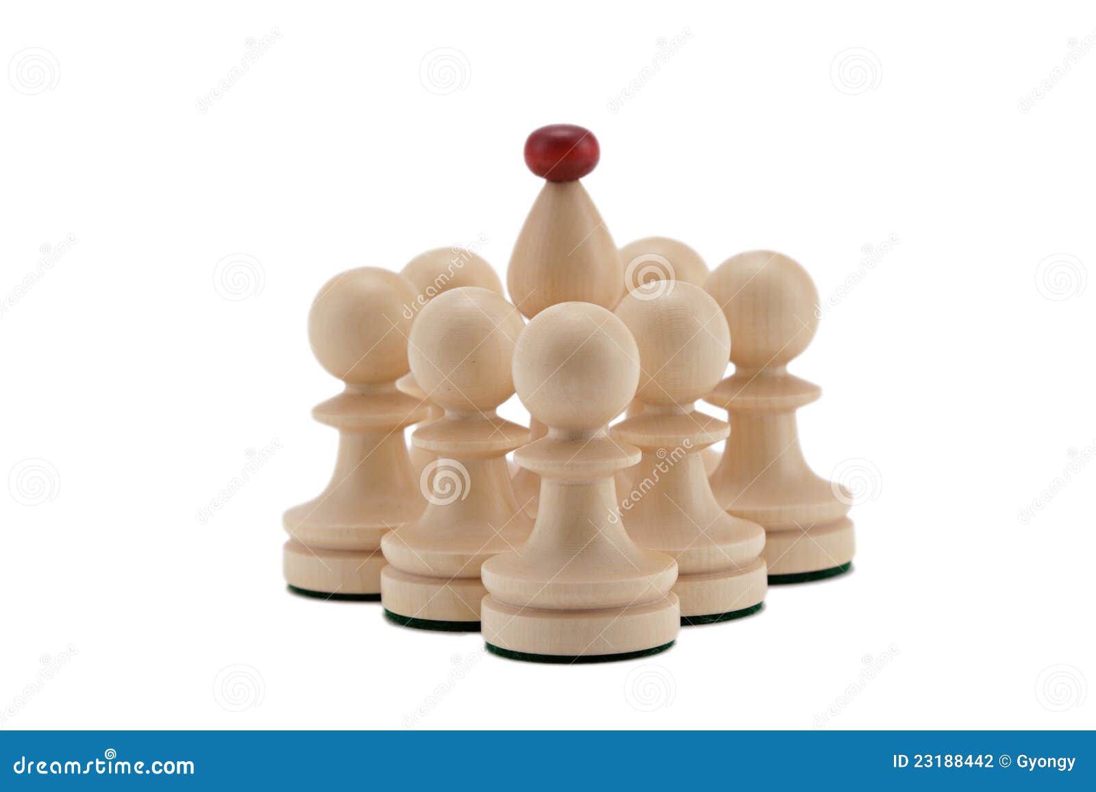 Well defended Bishop stock photo. Image of leader, mind - 23188442