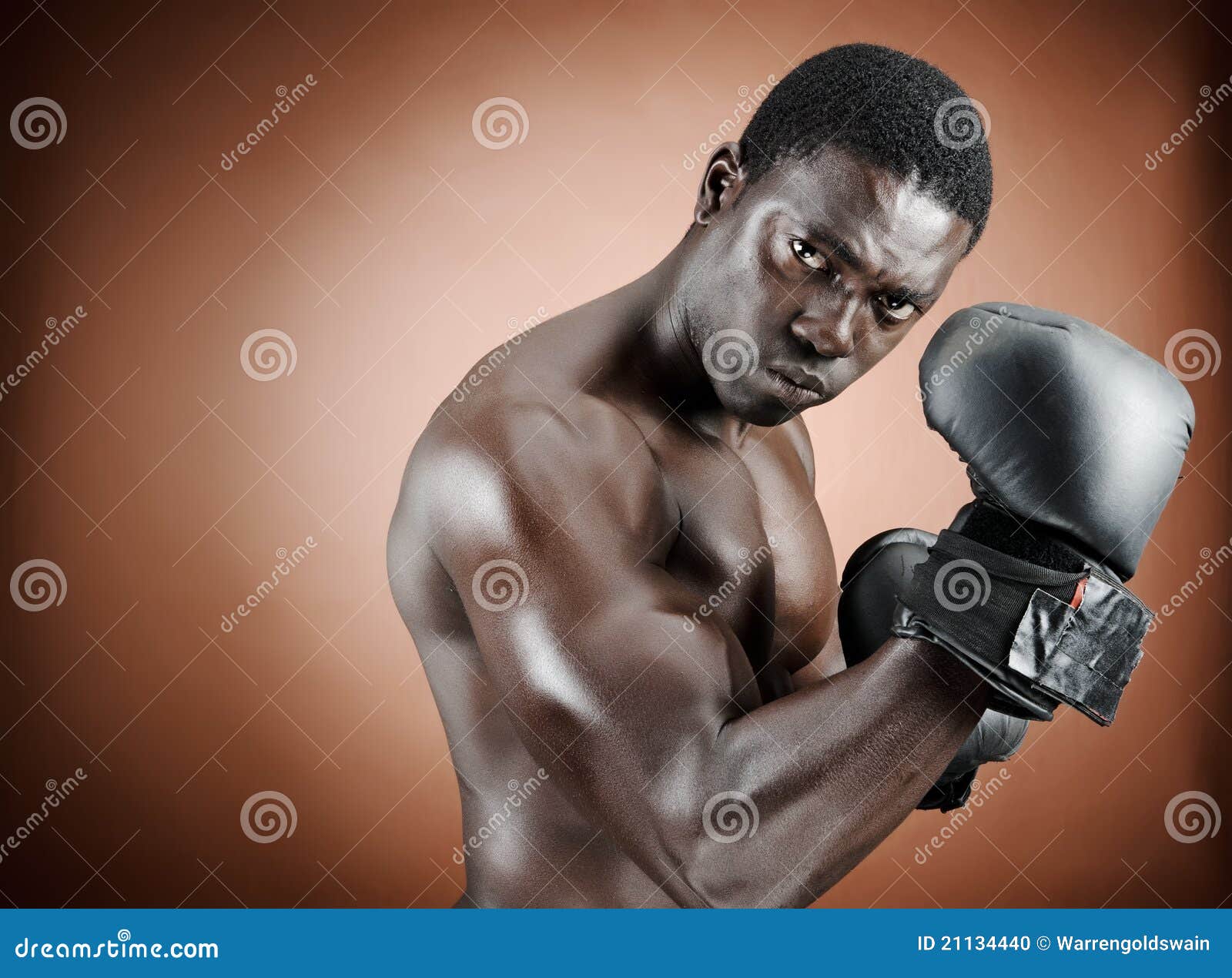 Well defined boxer stock photo. Image of athletic, stare - 21134440