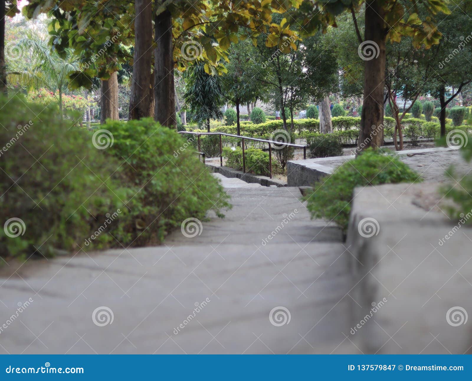 Well in Forest Area with Beauty Nature Stock Image - Image of forest ...