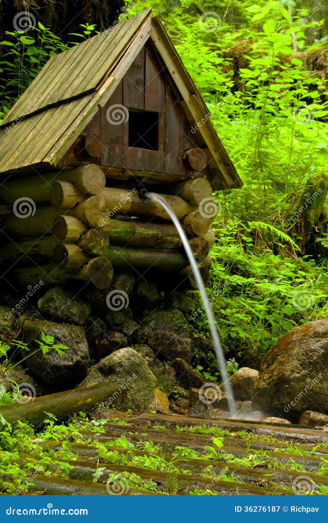 Well in the forest stock image. Image of colors, park - 36276187