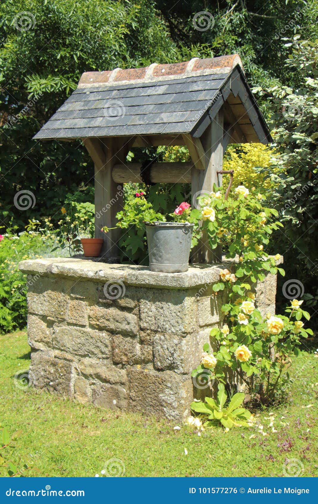 Well in a garden stock photo. Image of coping, chain - 101577276