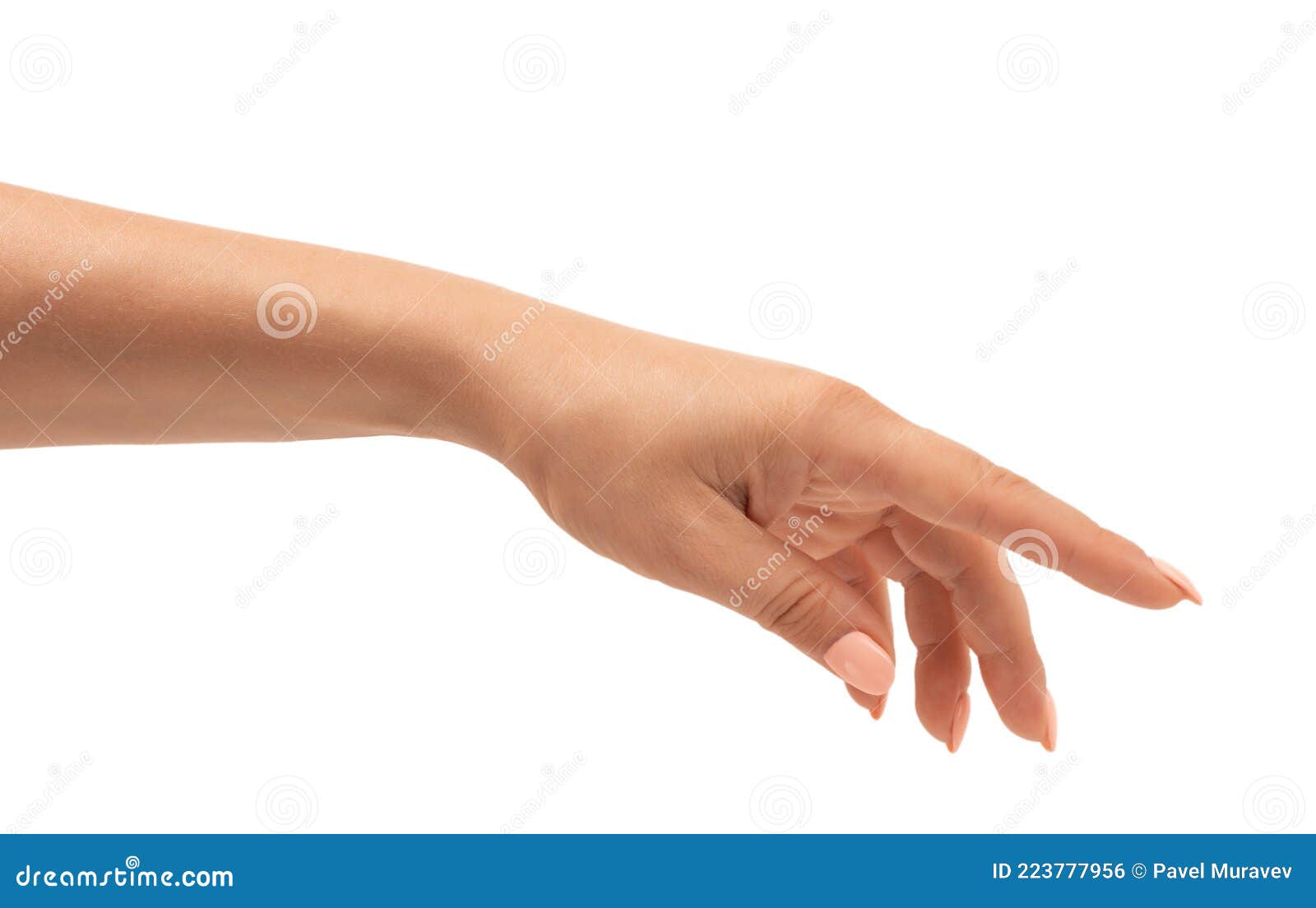 Well Groomed Female Hand With A Manicure In A Graceful Relaxed Pose Is