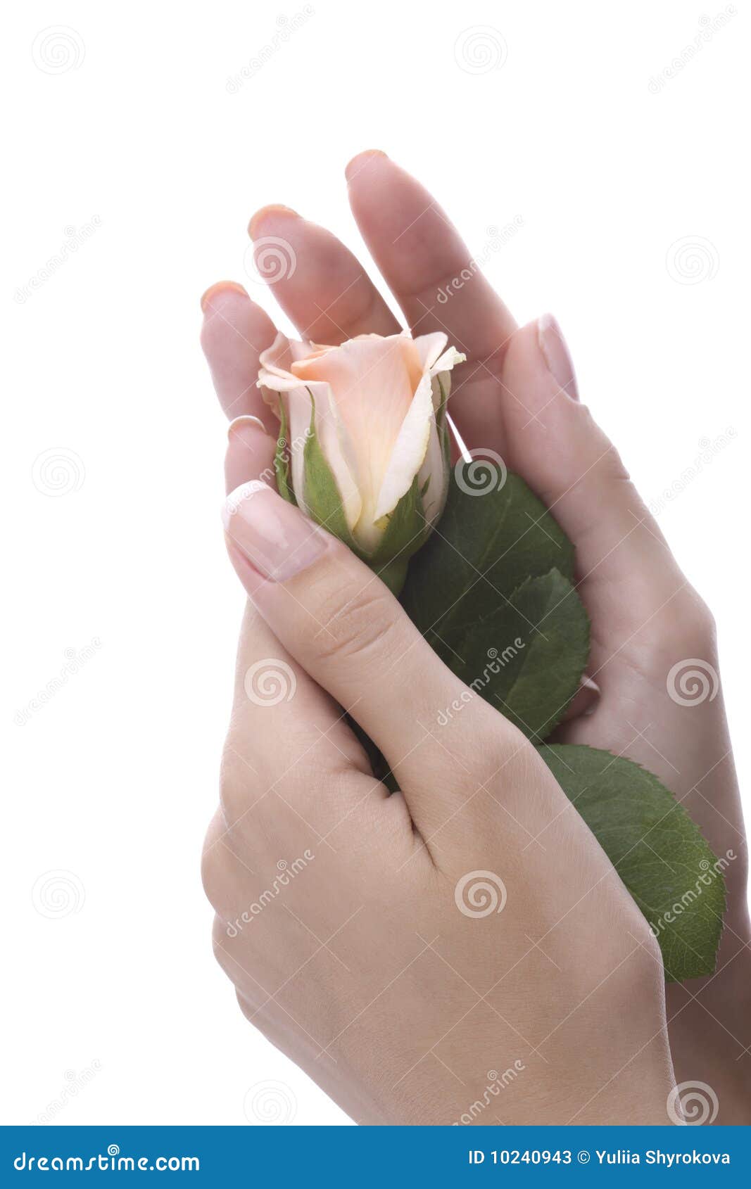 Well-groomed female hands stock image. Image of relaxation - 10240943