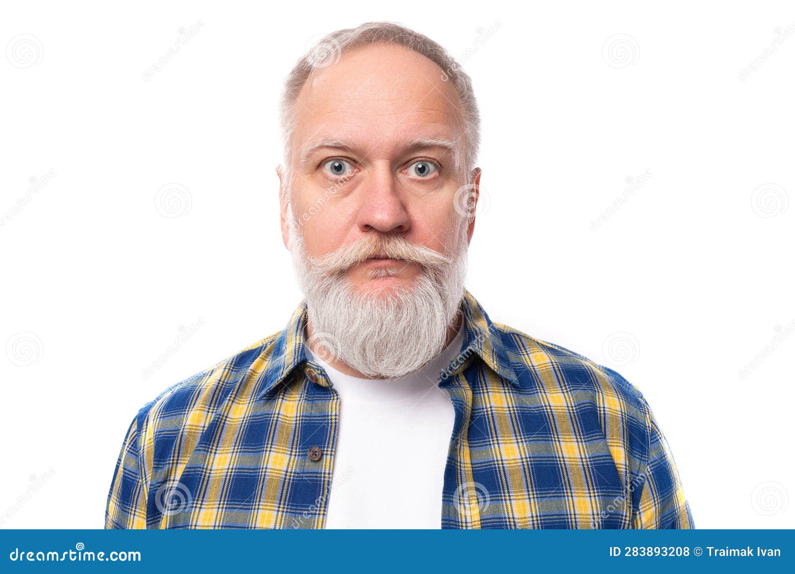 Well Groomed 60s Middle Aged Gray Haired Retired Man With Mustache And