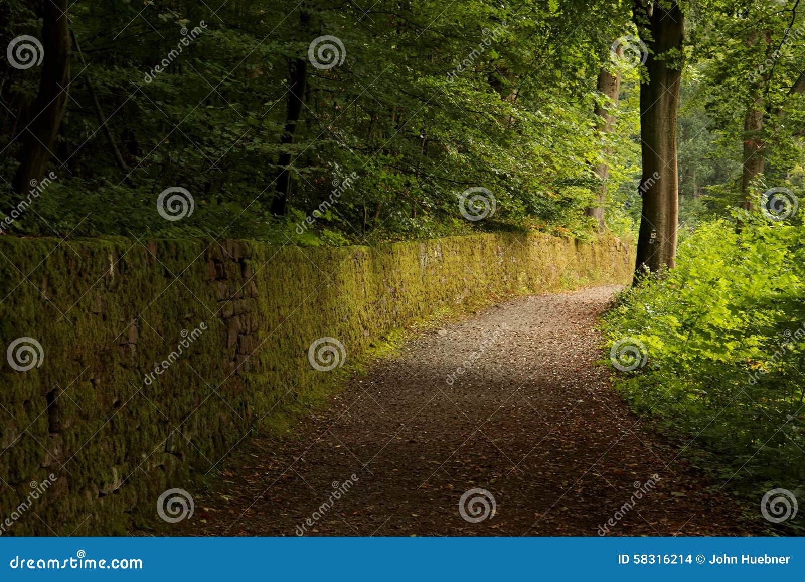 Well Lit Path stock photo. Image of stroll, light, path - 58316214