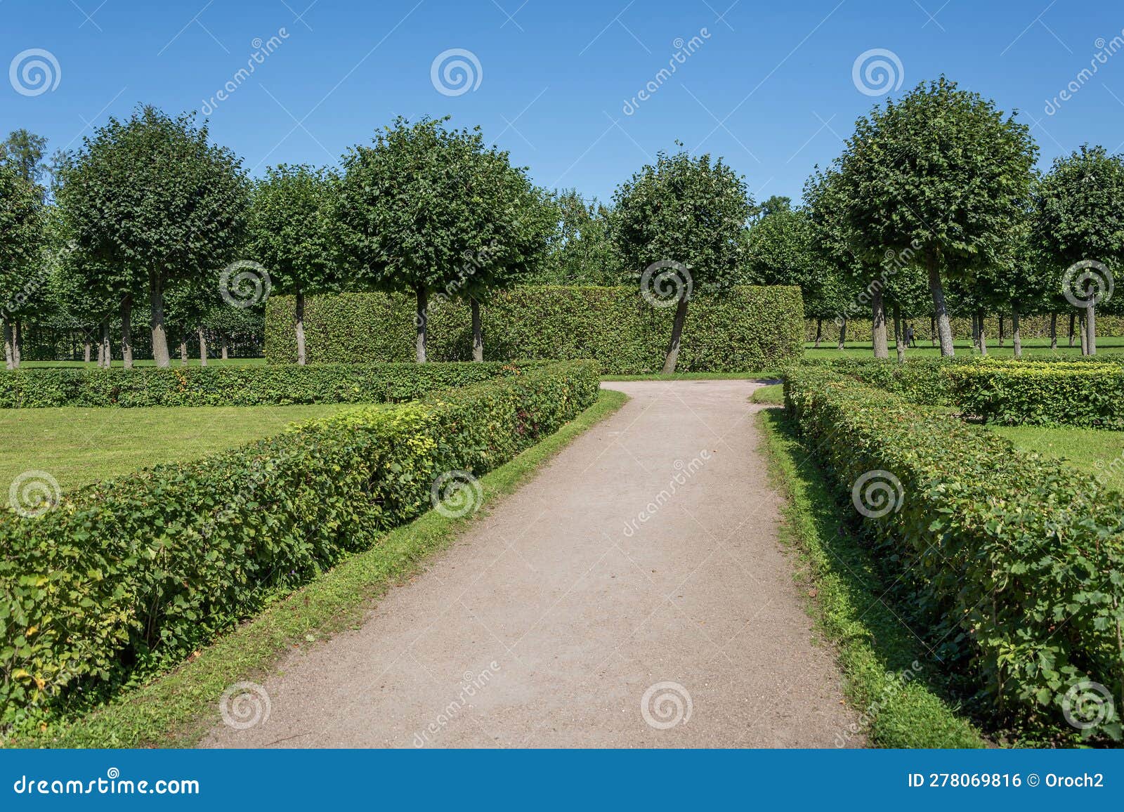 Well-maintained Regular Park Stock Photo - Image of linden, cropped ...