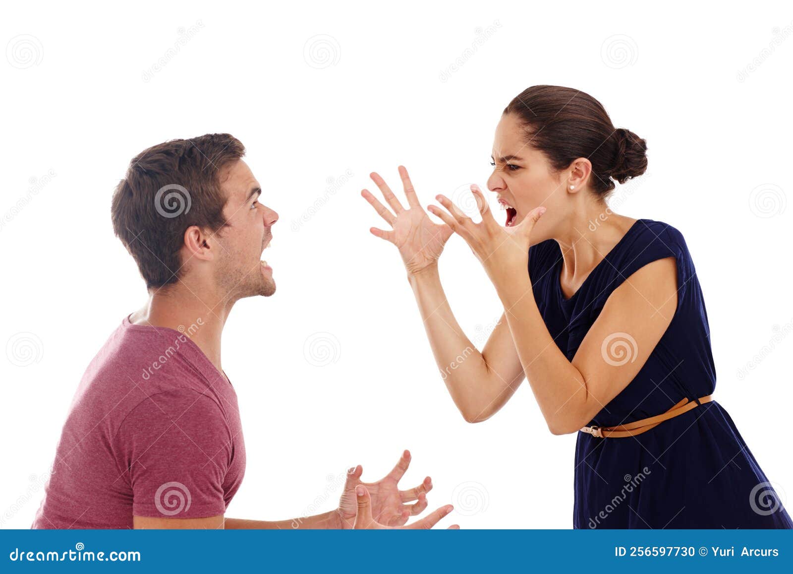 Well Make it through this One. a Gorgeous Young Couple Arguing while ...