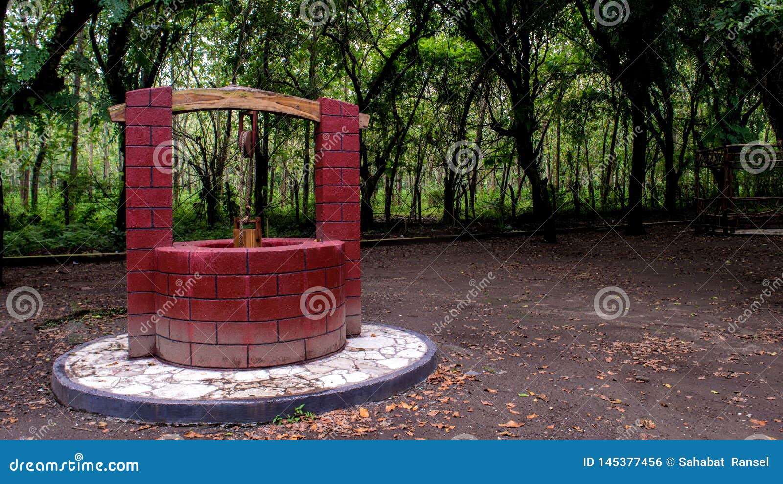 Well in the Middle of the Forest Stock Photo - Image of village ...