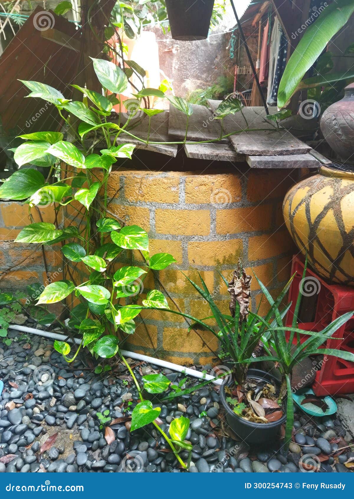 Well with Plants and Rocks Around it Stock Image - Image of motif ...