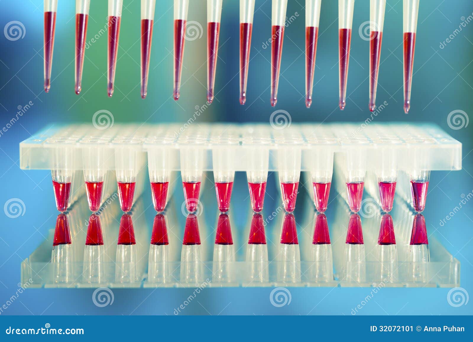 96 Well Plate With Samples For Biological Analysis. Microplate For ...