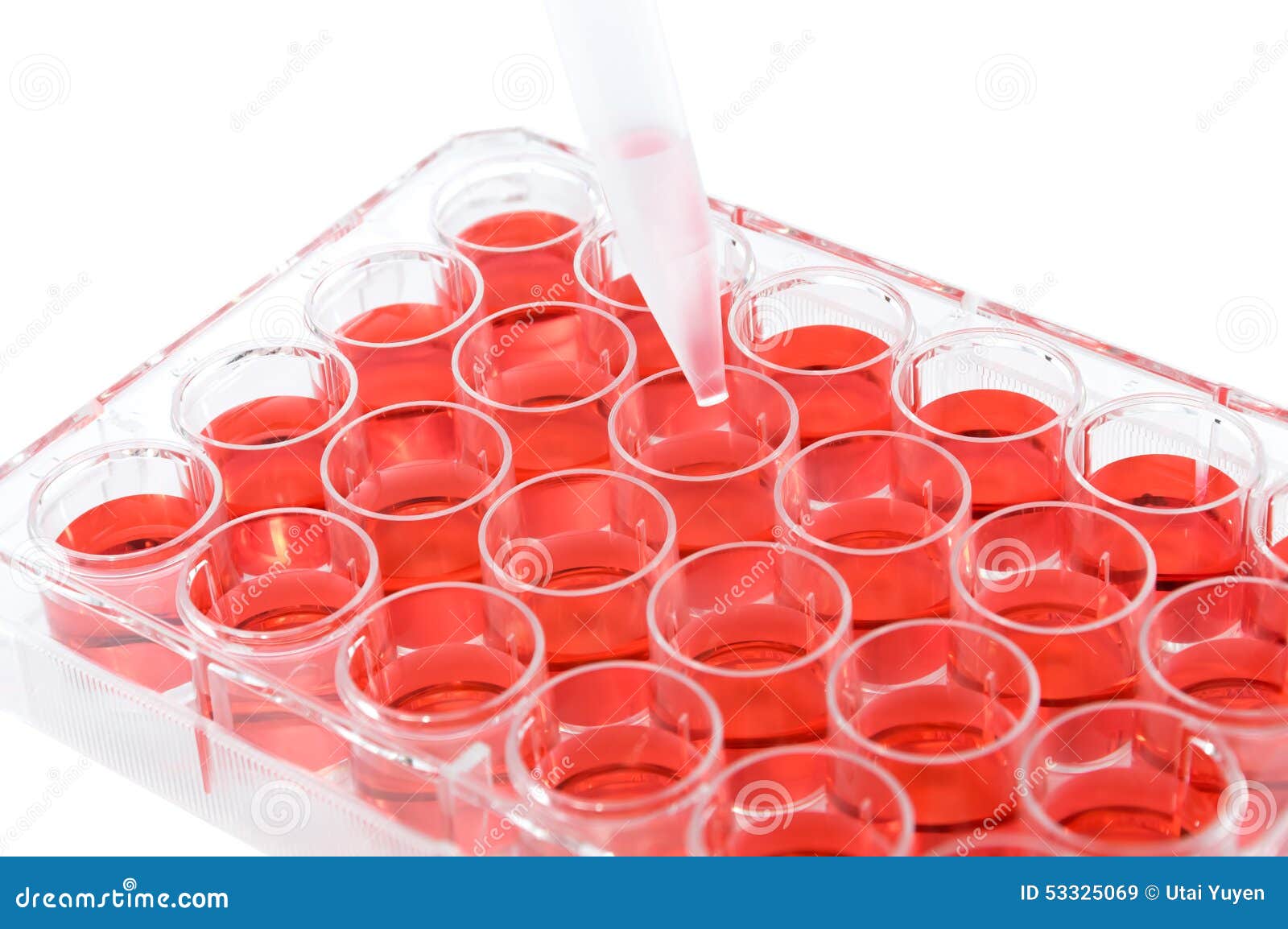 24 Well Plate Red Solution Test Stock Image - Image of solution ...