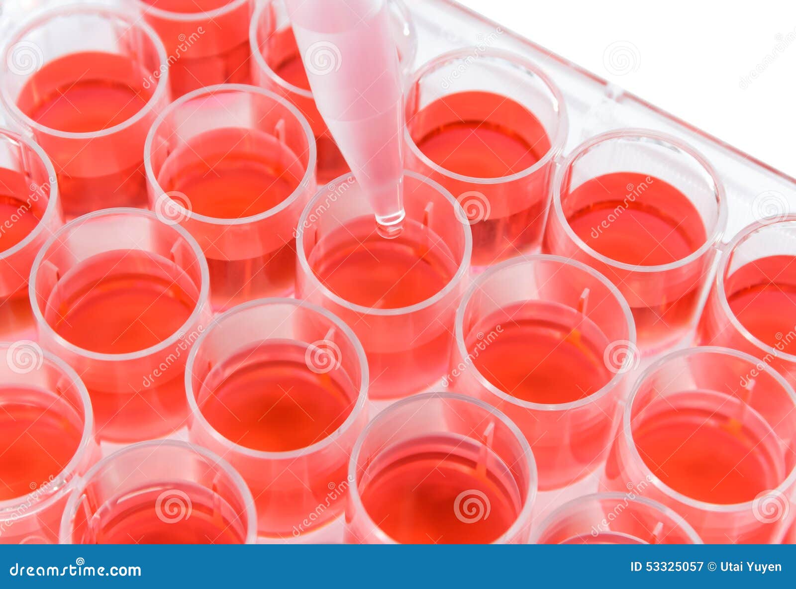 24 Well Plate Test Laboratory Stock Image - Image of laboratory ...