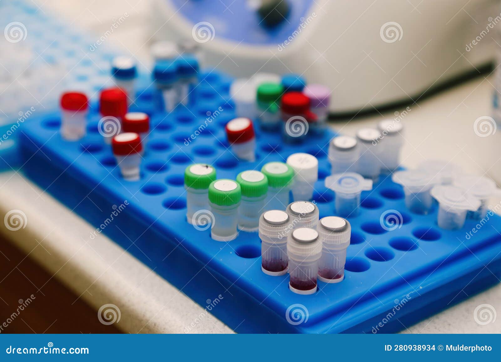Well Plate with Test Tubes with Samples for Analysis Stock Photo ...