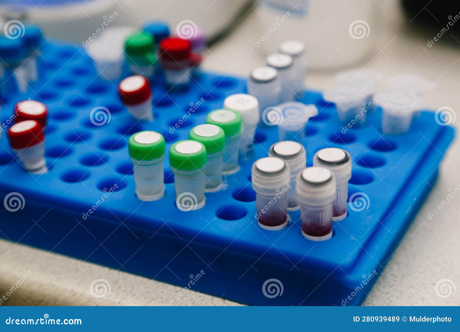 Well Plate with Test Tubes with Samples for Analysis Stock Image ...