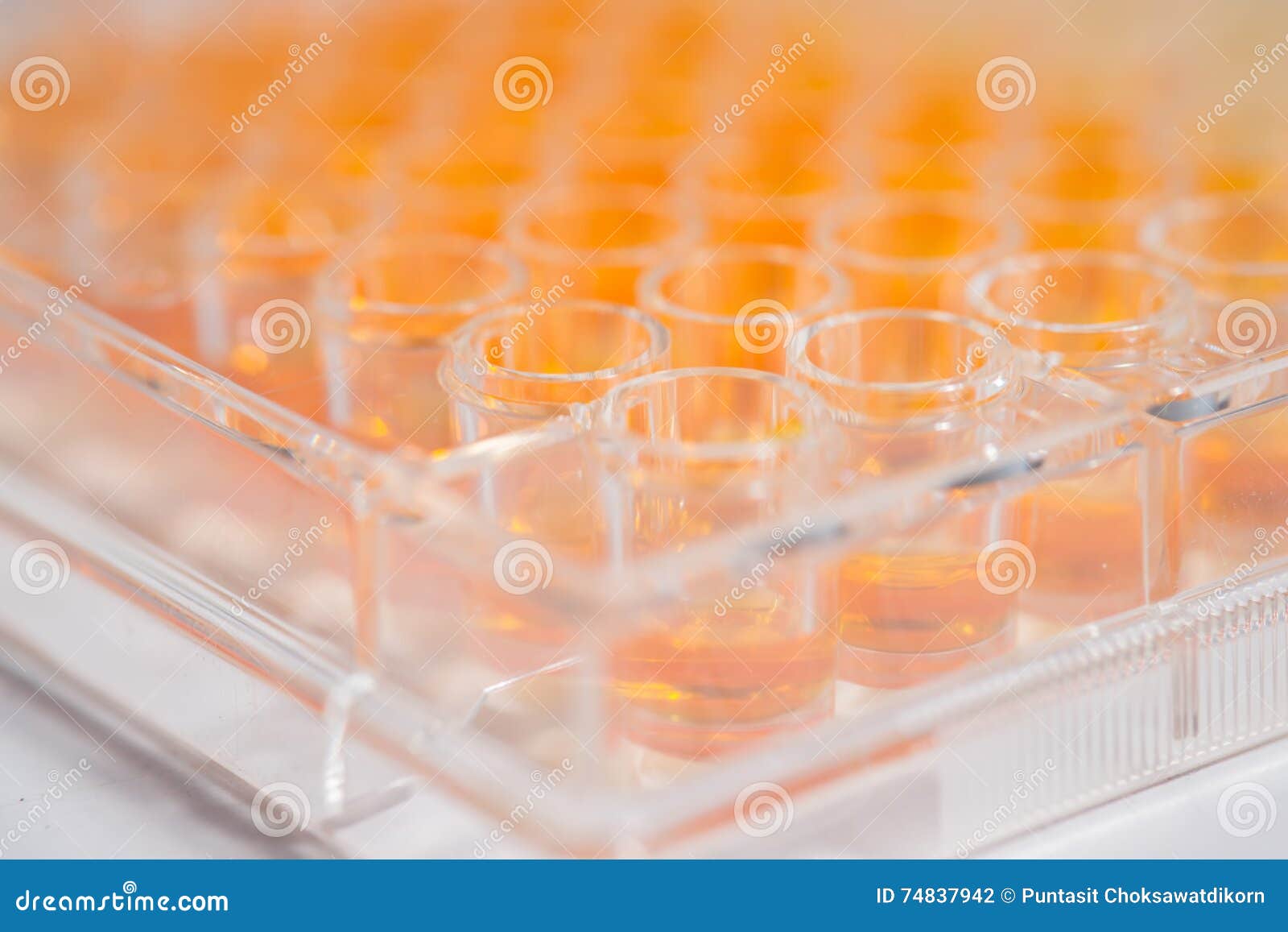 96 well plates stock photo. Image of assay, biological - 74837942