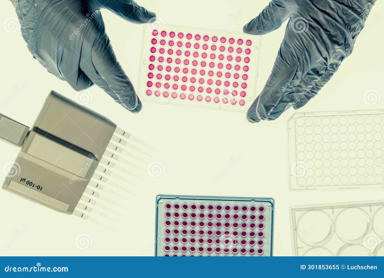 96 Well Plates in the Laboratory of Genetic Modification Using CRISPR ...